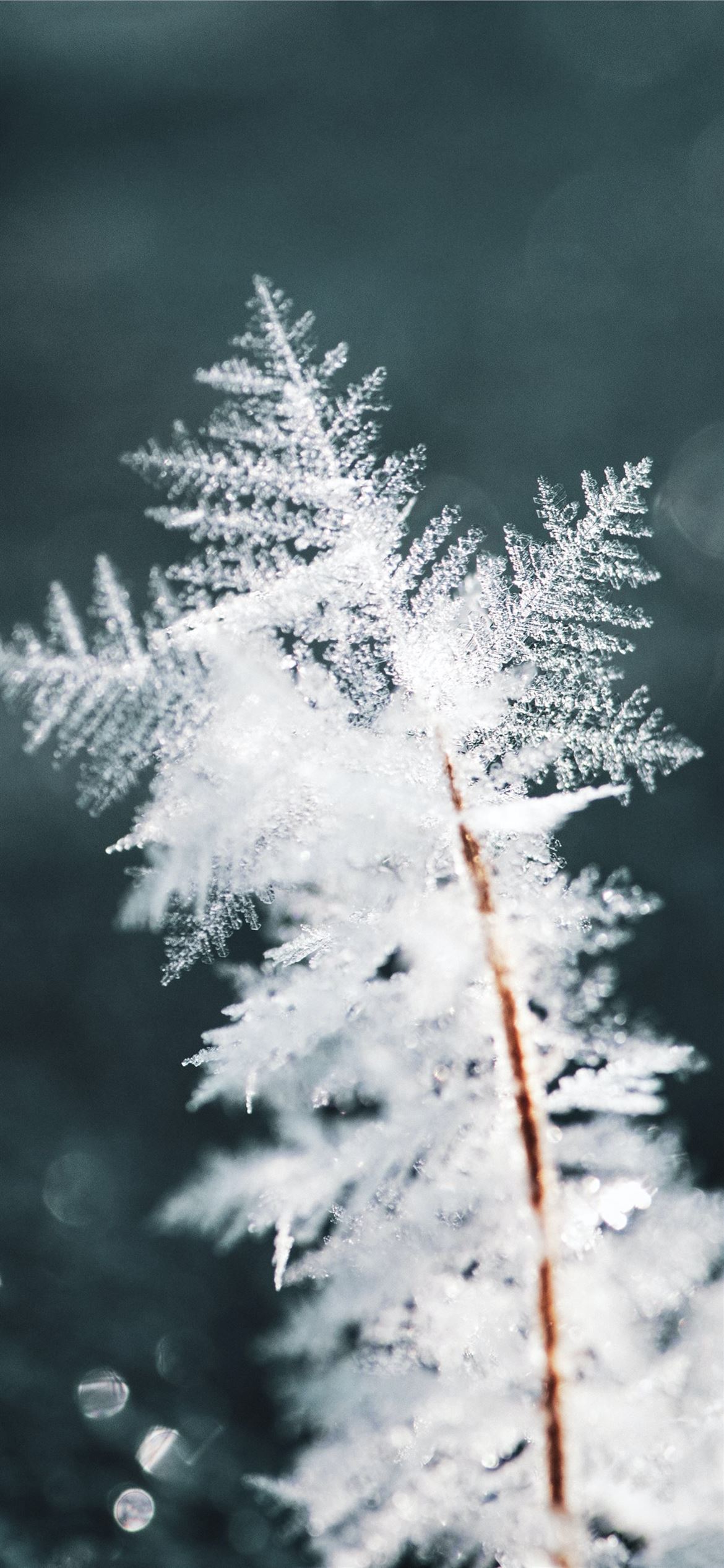 iPhone Winter Ice Wallpapers - Wallpaper Cave