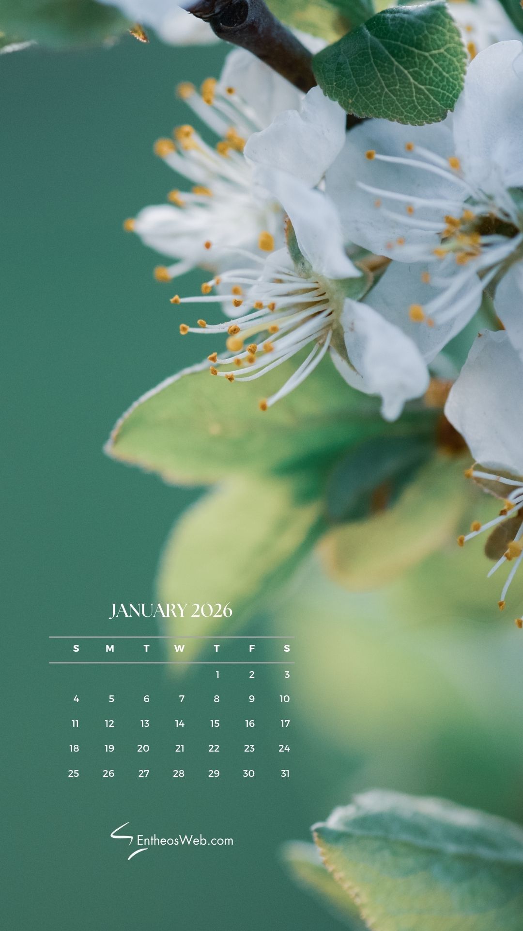 January 2026 Calendar Wallpapers - Wallpaper Cave