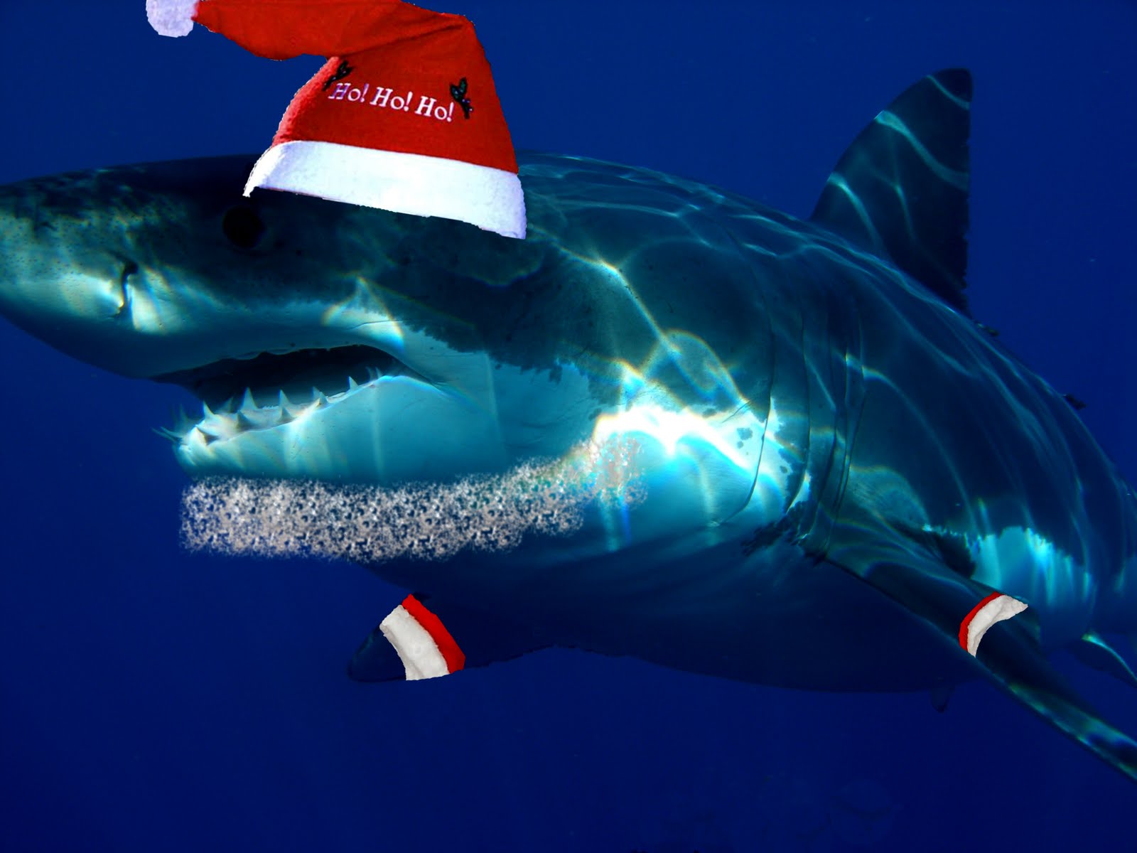 Santa Jaws Wallpapers - Wallpaper Cave