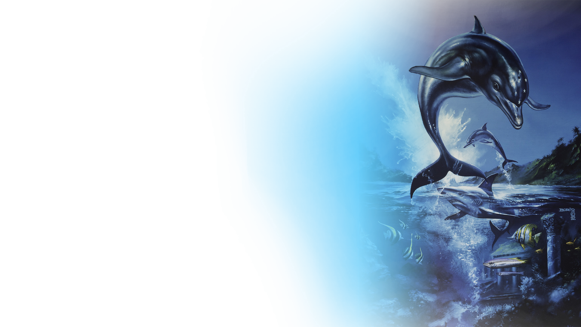 Ecco The Dolphin Wallpapers - Wallpaper Cave