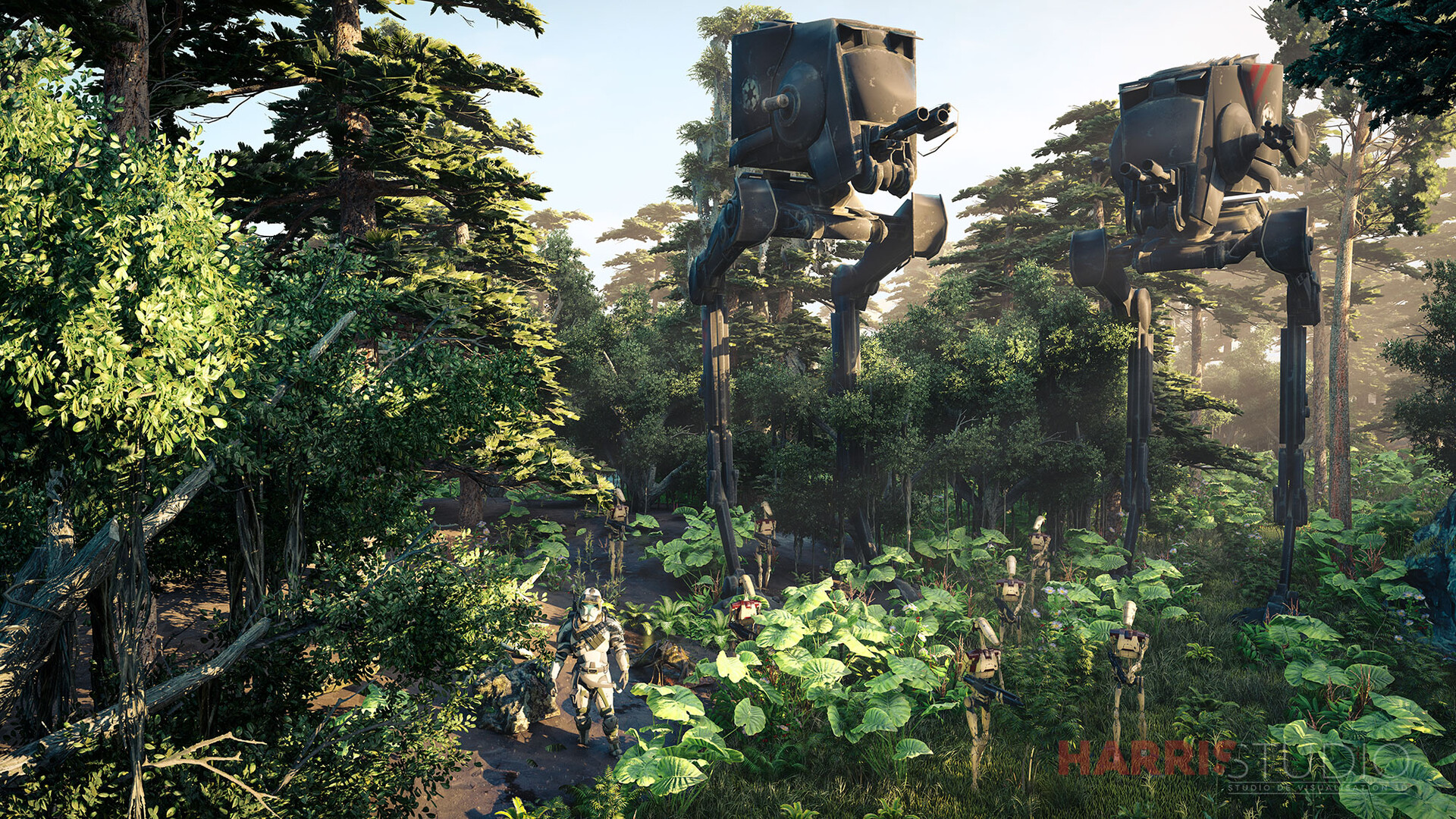 Star Wars Forest Wallpapers - Wallpaper Cave