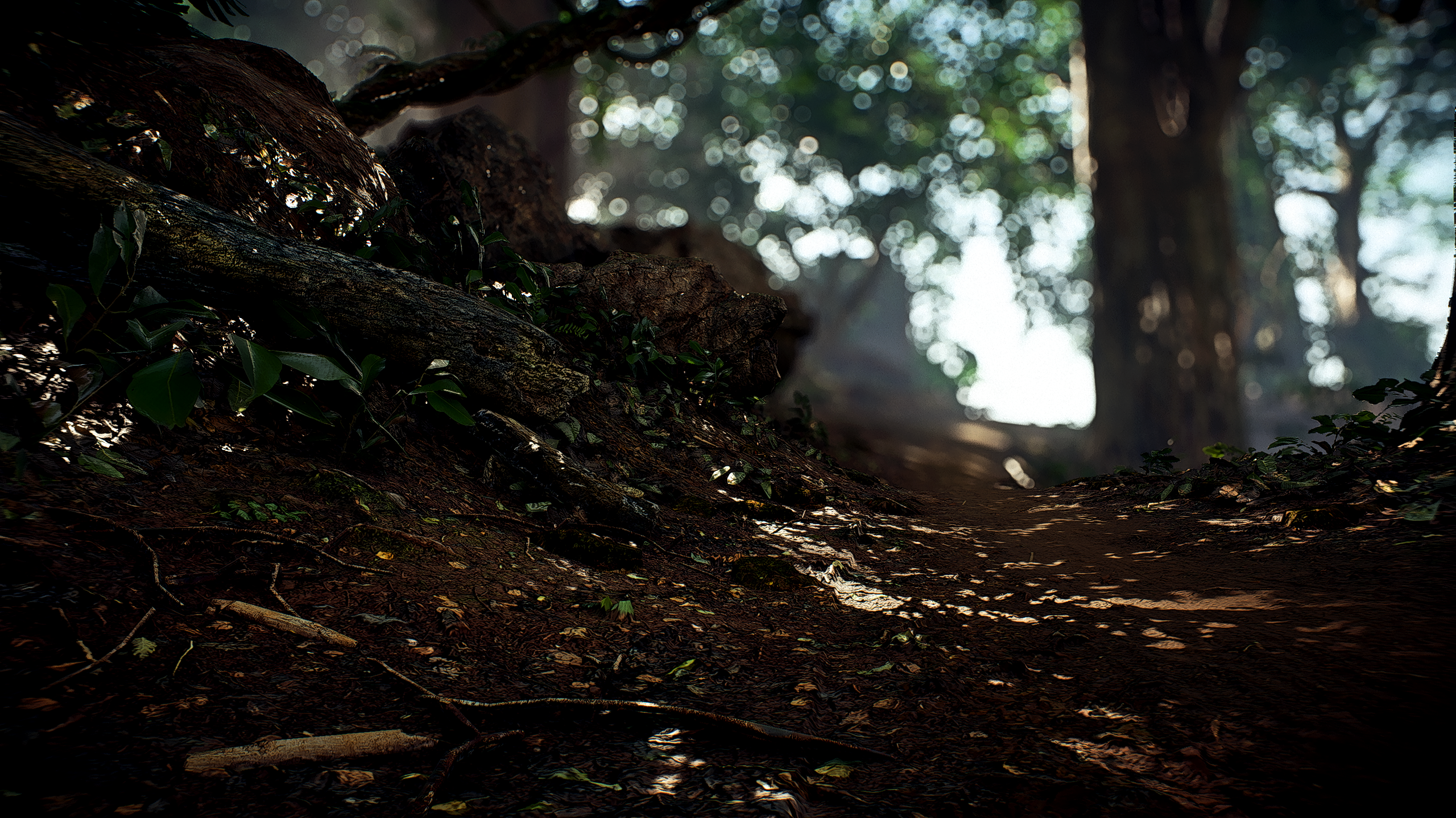 Star Wars Forest Wallpapers - Wallpaper Cave