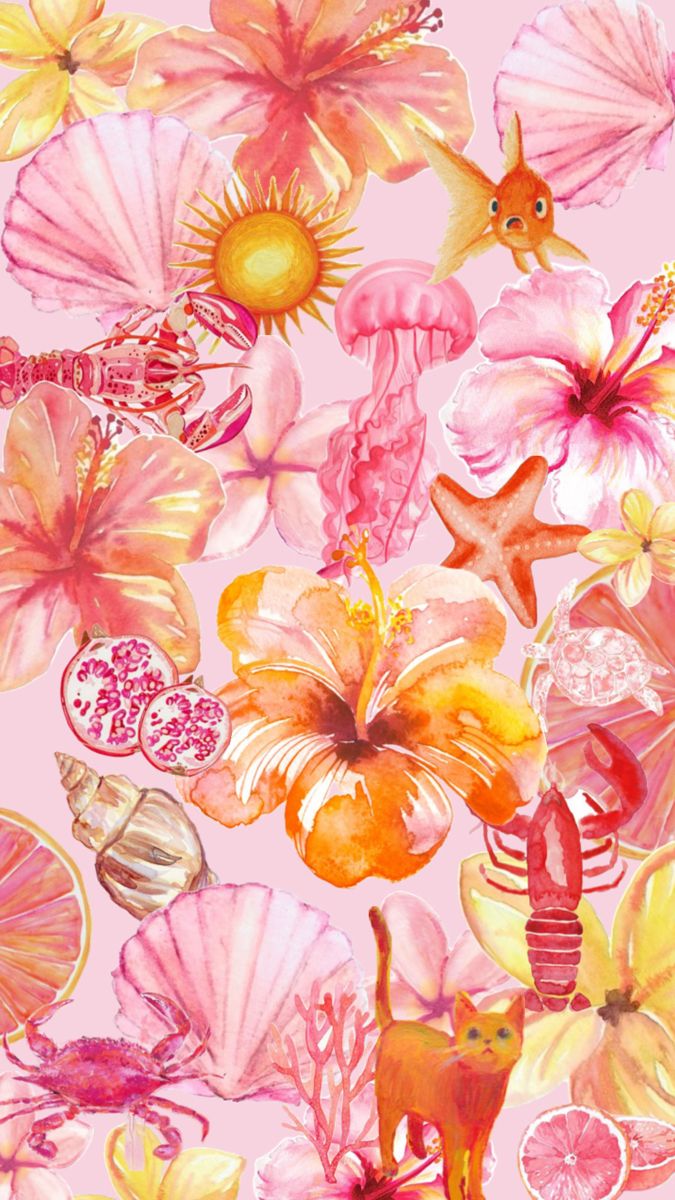 Hibiscus And Seashells Wallpapers - Wallpaper Cave