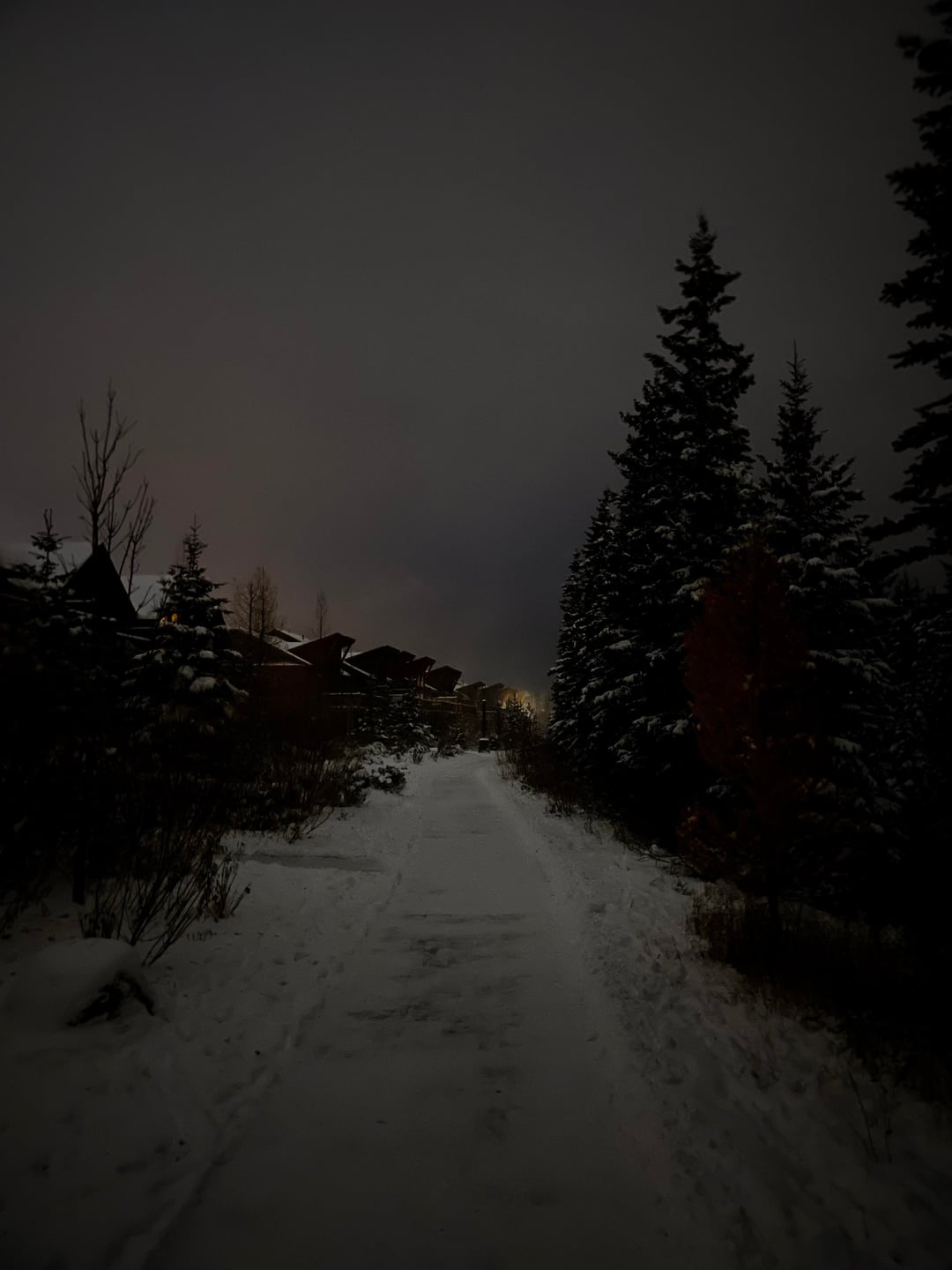 Dark Tree Winter Wallpapers - Wallpaper Cave