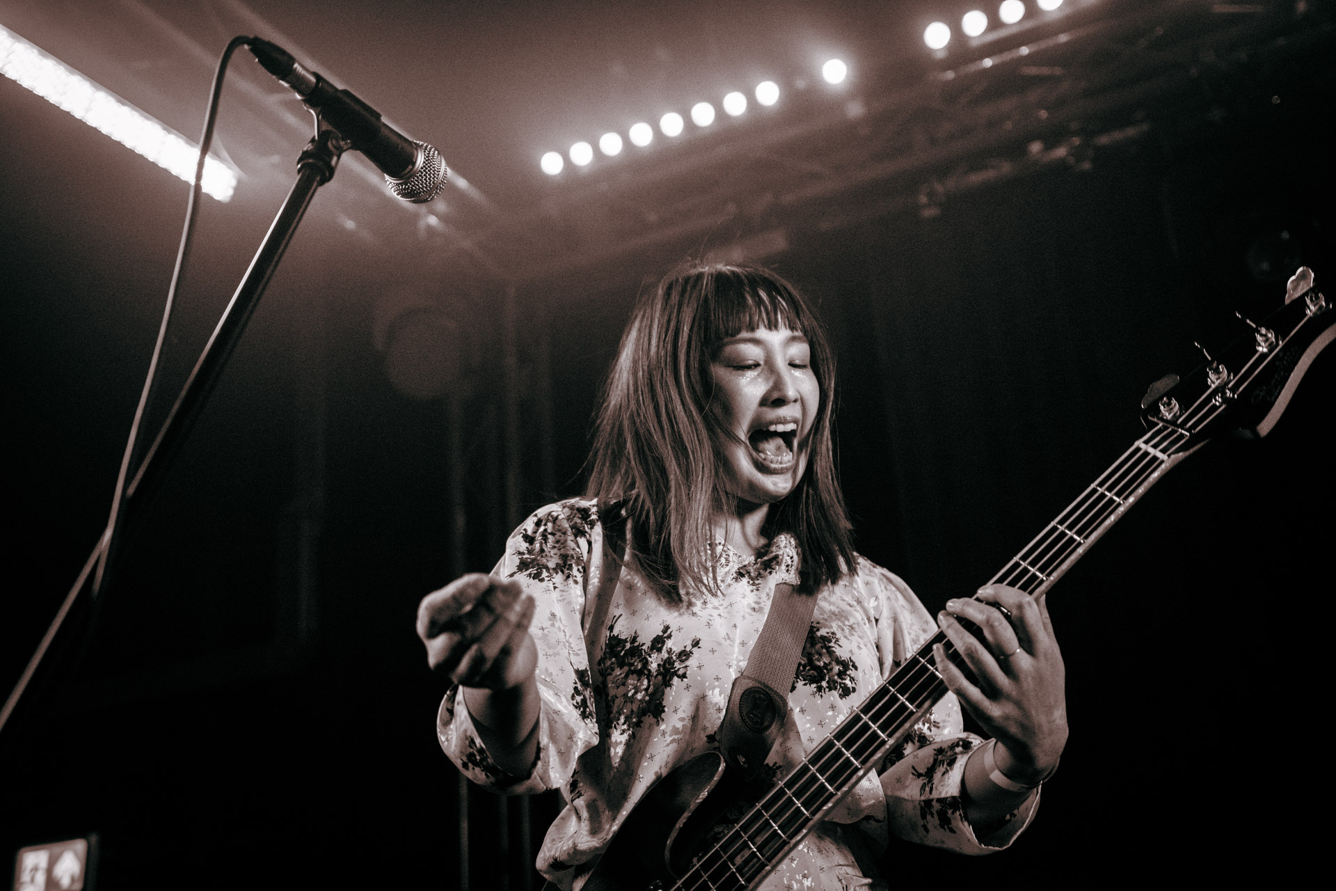 Mass Of The Fermenting Dregs Wallpapers - Wallpaper Cave