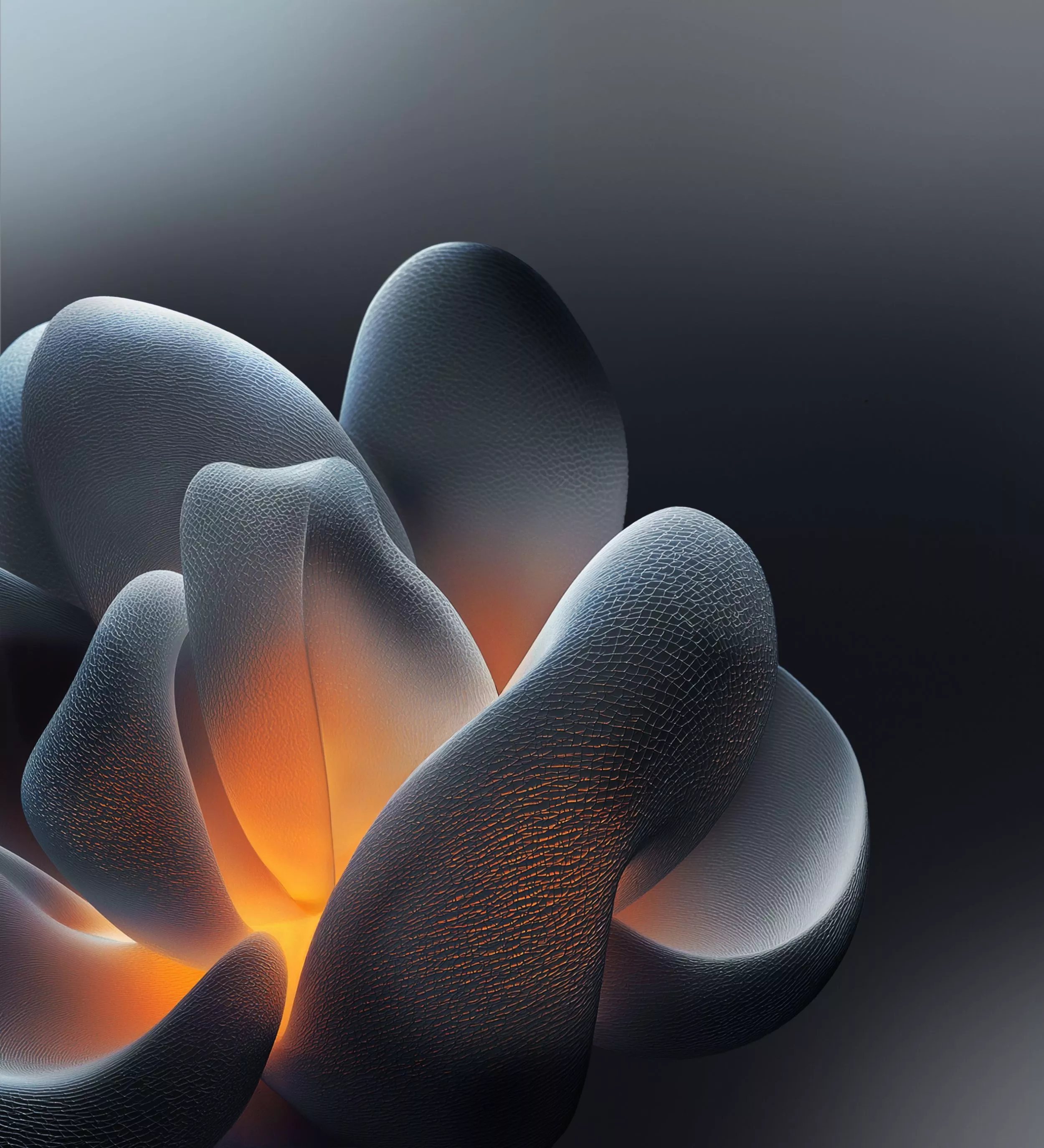 Motorola Signature Wallpapers - Wallpaper Cave