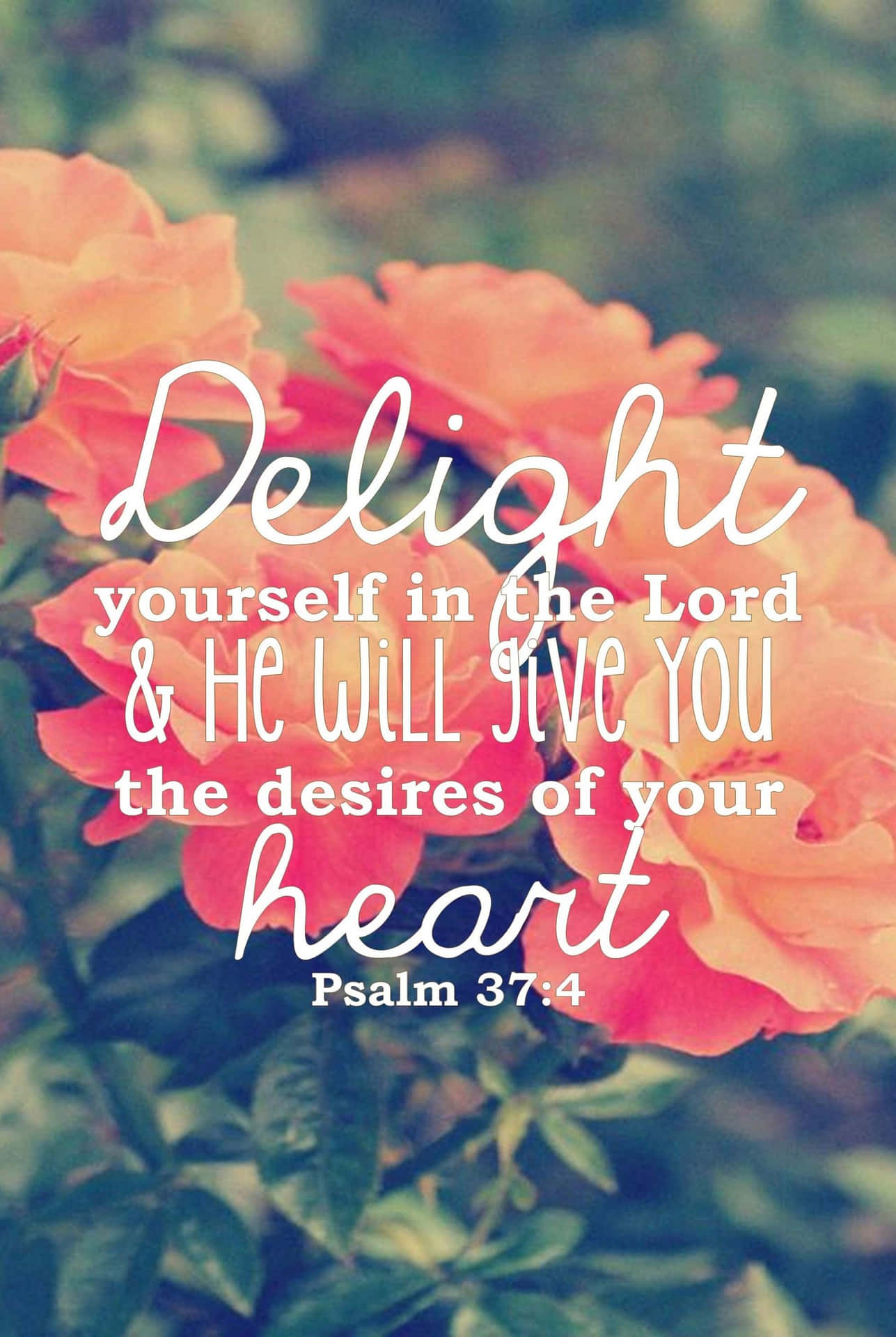 Cute Orange Bible Quote Wallpapers - Wallpaper Cave