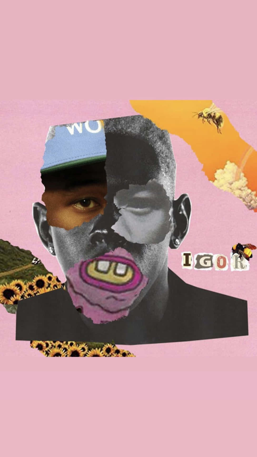 Tyler The Creator Funny Wallpapers - Wallpaper Cave