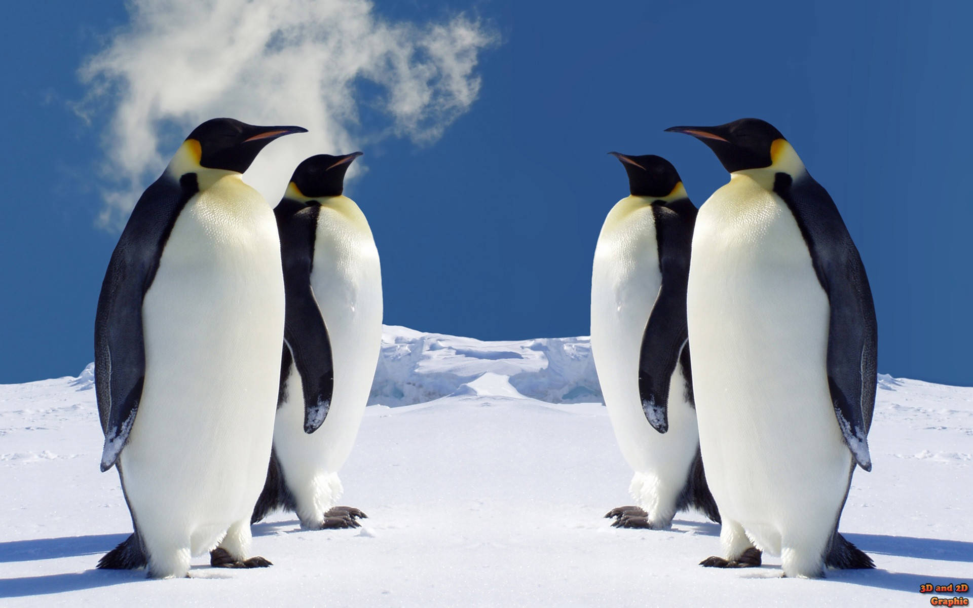Penguin Mountain Wallpapers - Wallpaper Cave