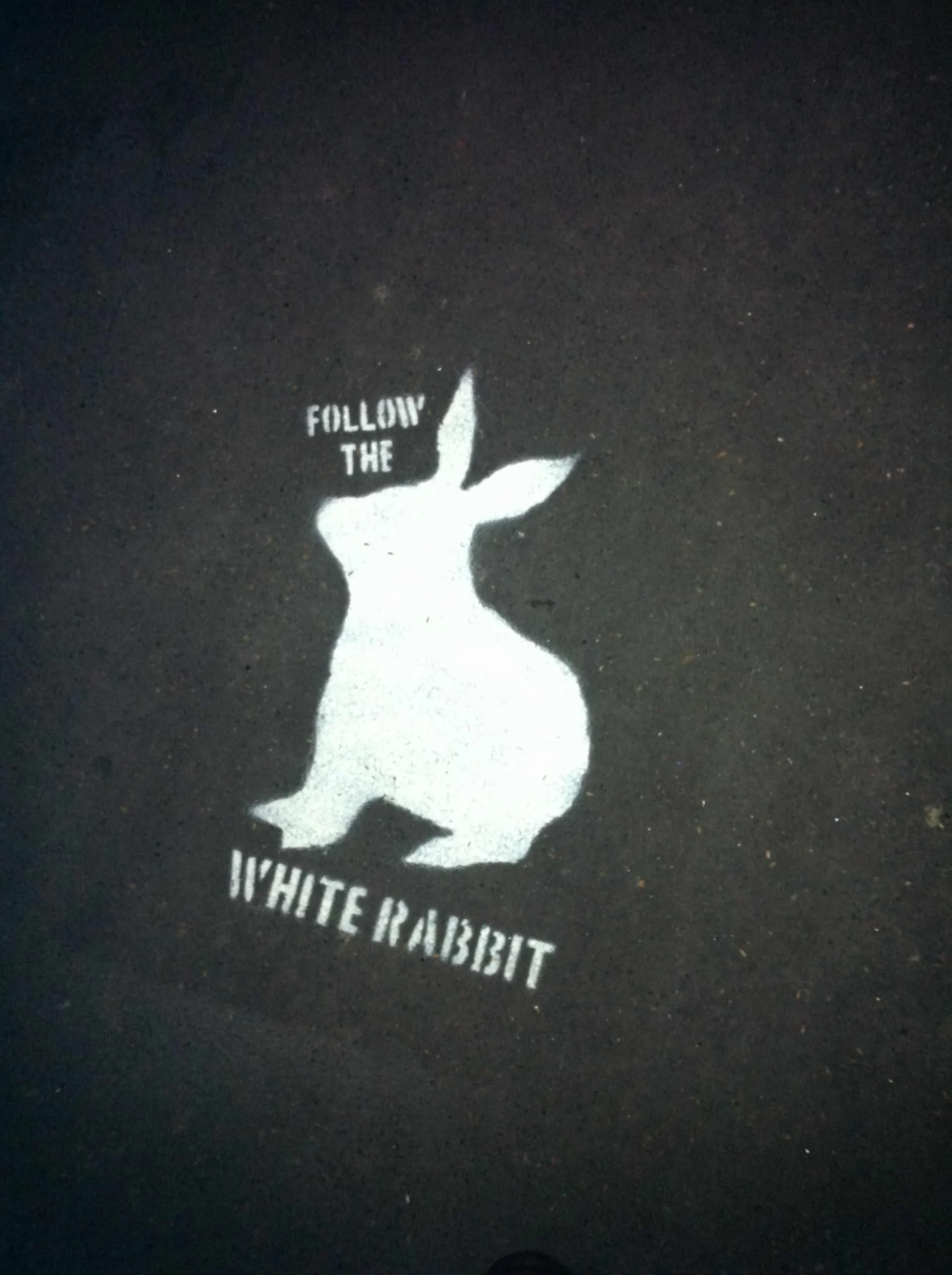 Follow The White Rabbit Wallpapers - Wallpaper Cave