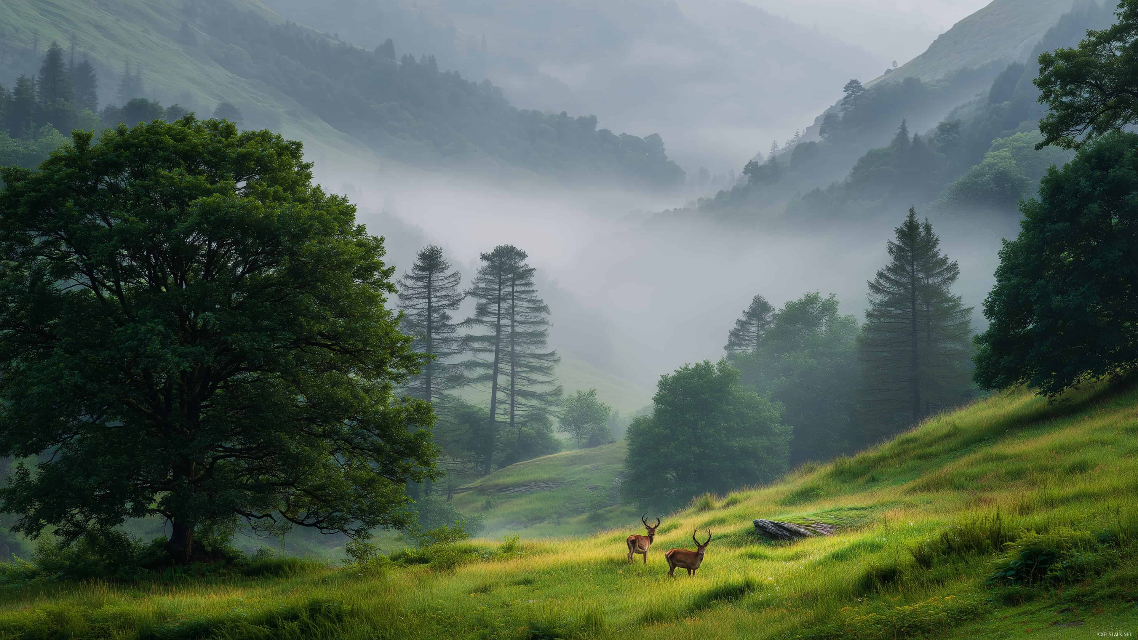 Nature Desktop Aesthetic Wallpapers - Wallpaper Cave