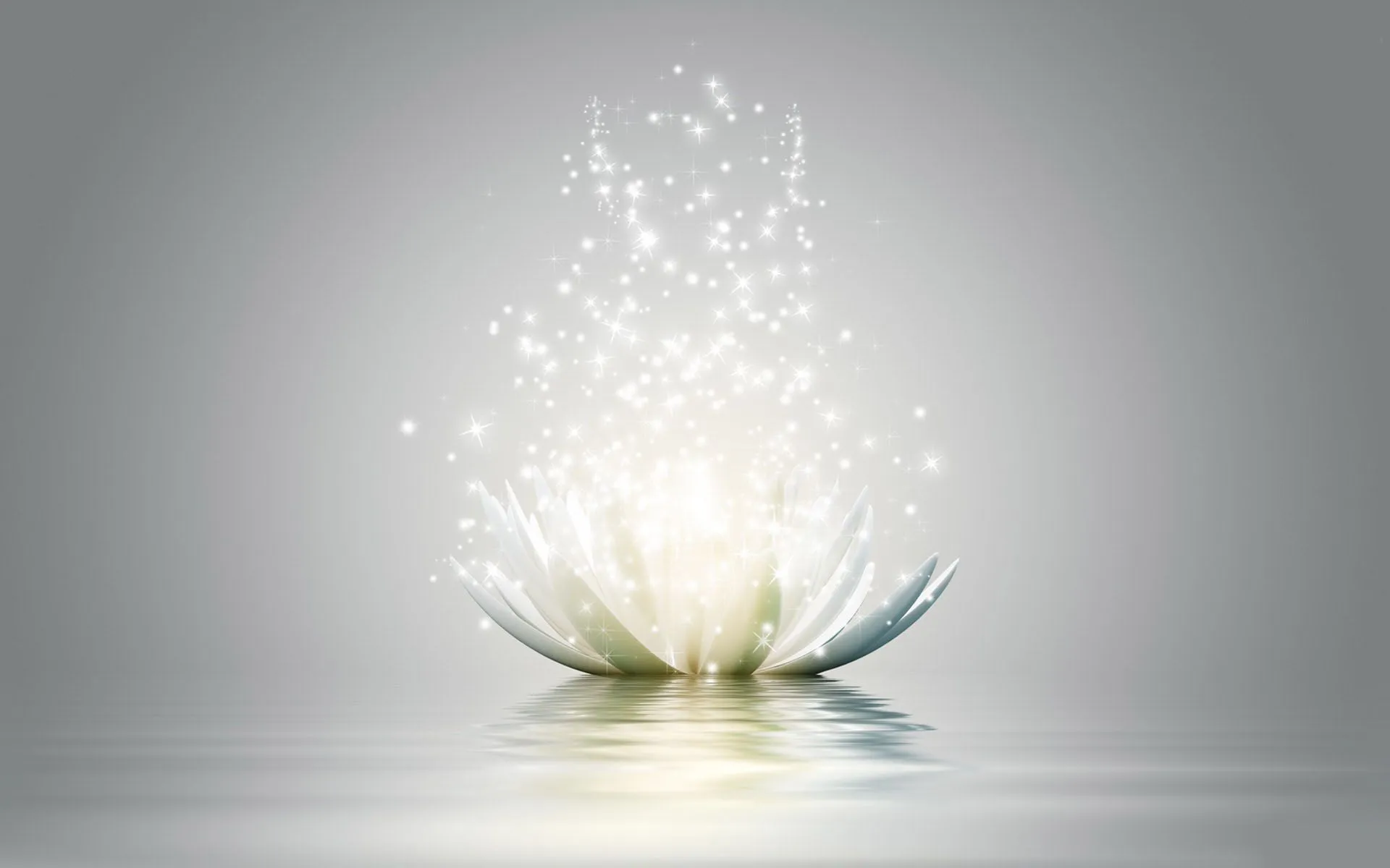 Lotus Flower Desktop Wallpapers - Wallpaper Cave