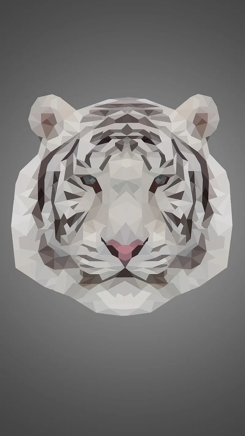 White Tiger Head Wallpapers - Wallpaper Cave