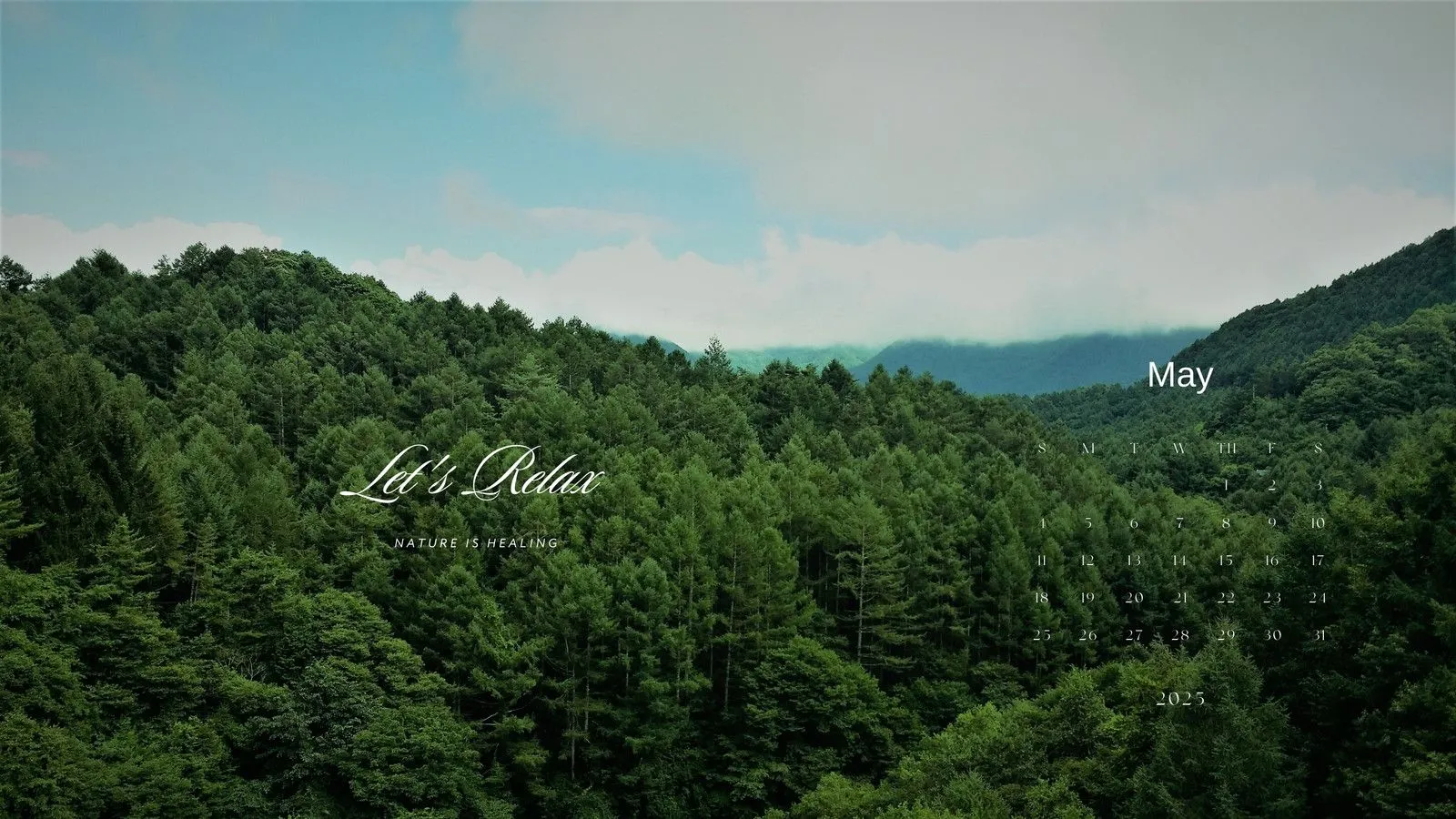 Green Forest Desktop Wallpapers - Wallpaper Cave