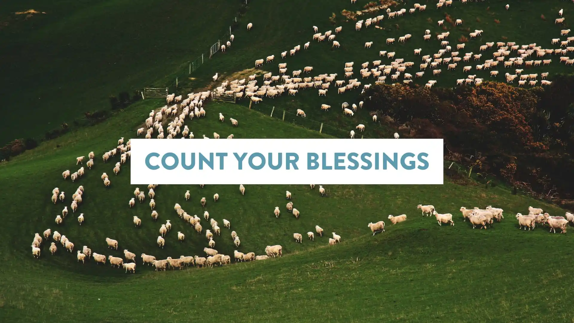 Count Your Blessings Wallpapers - Wallpaper Cave