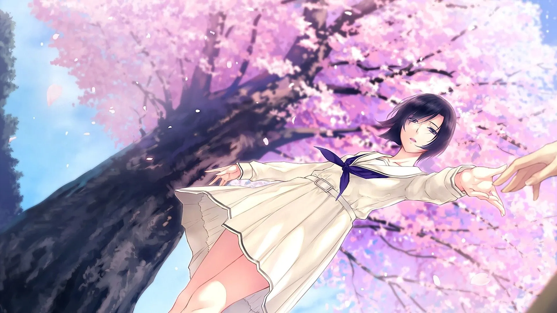 Kara No Shoujo Wallpapers - Wallpaper Cave