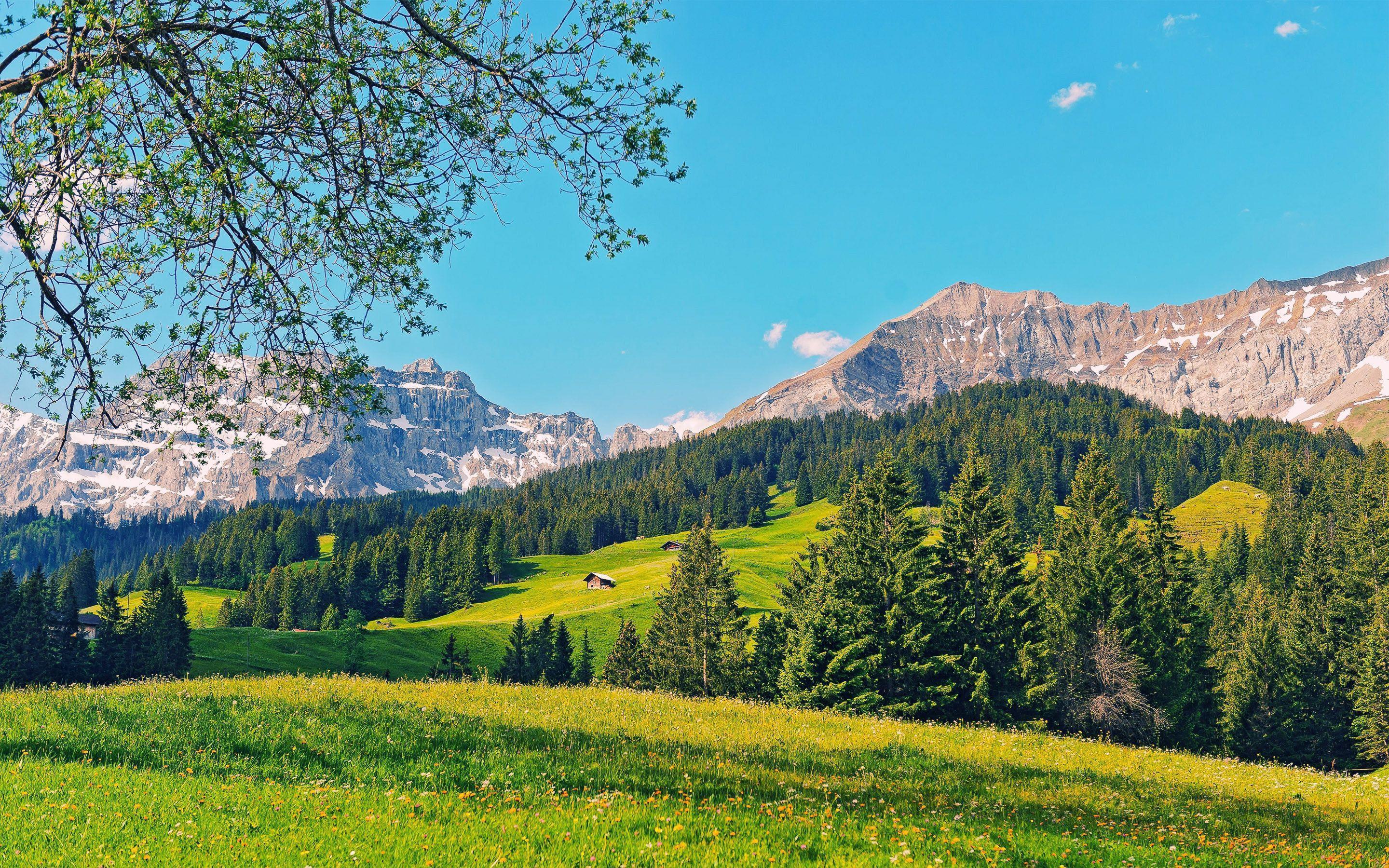 Www Wallpapers - Wallpaper Cave