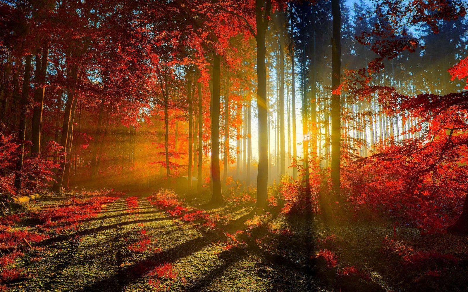 Scenary Wallpapers - Wallpaper Cave