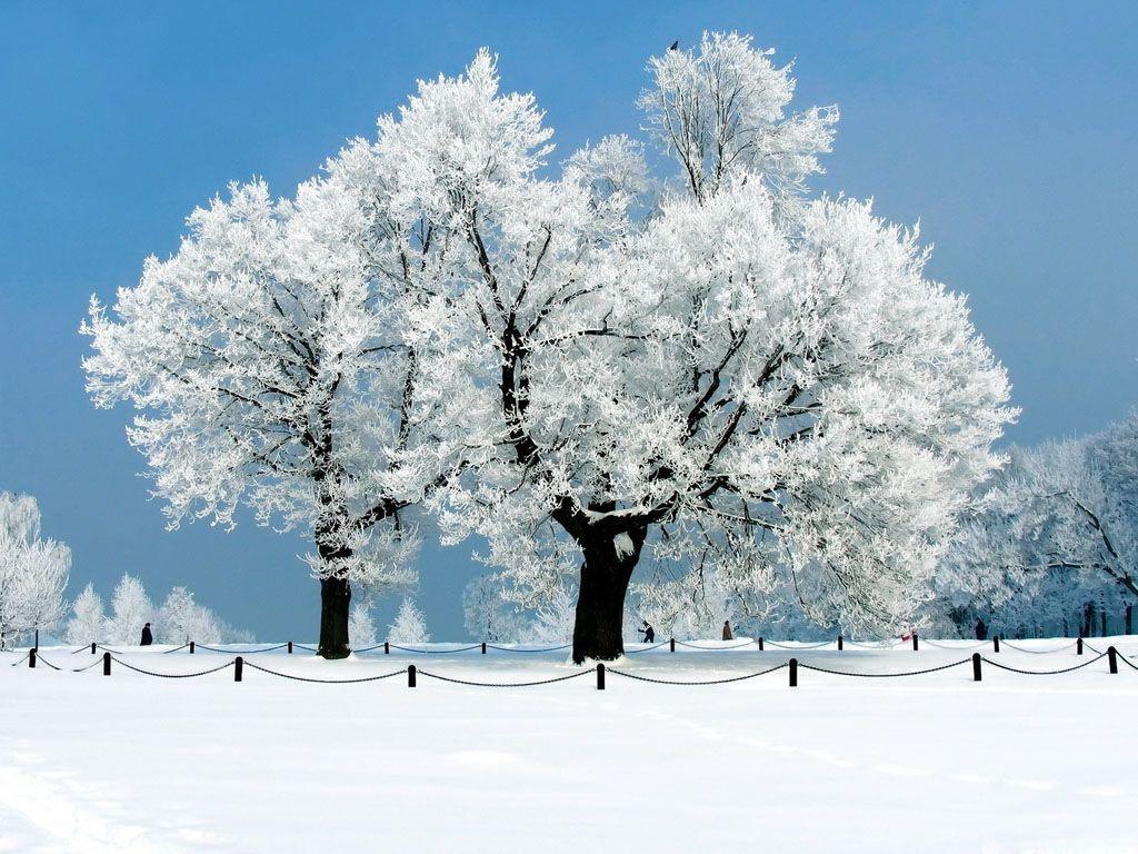 Scenary Wallpapers - Wallpaper Cave