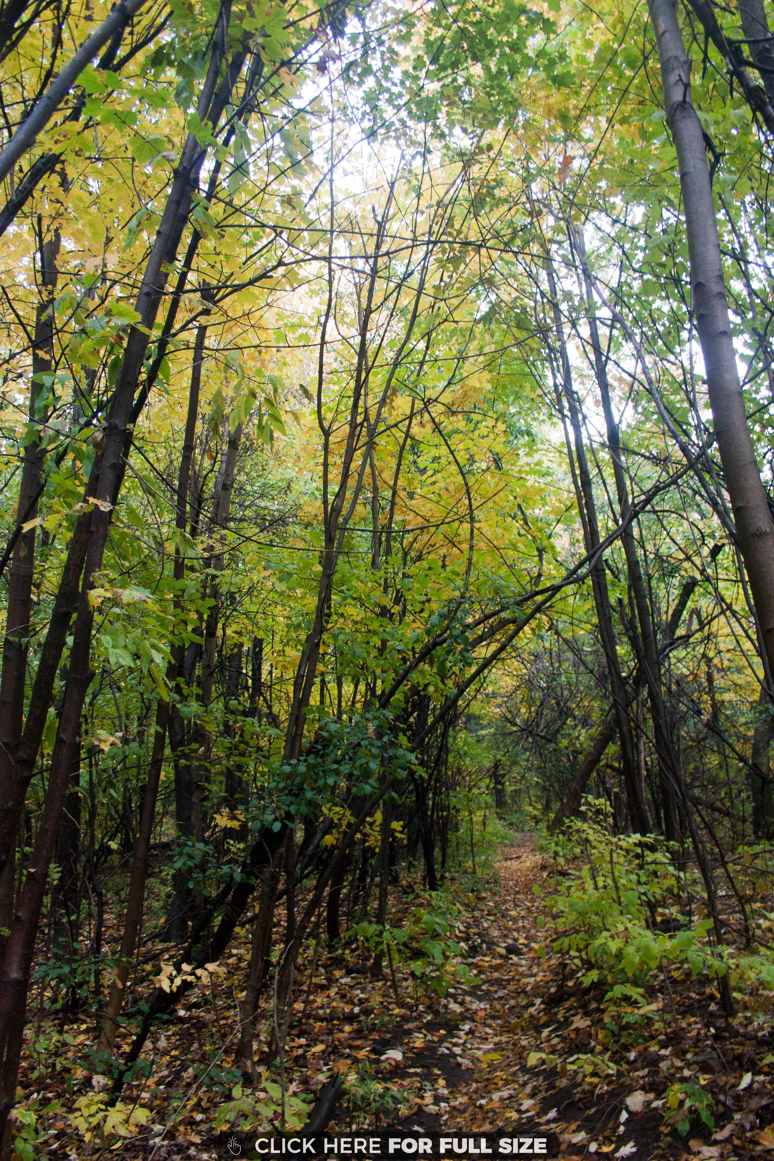 Trail Wallpapers - Wallpaper Cave