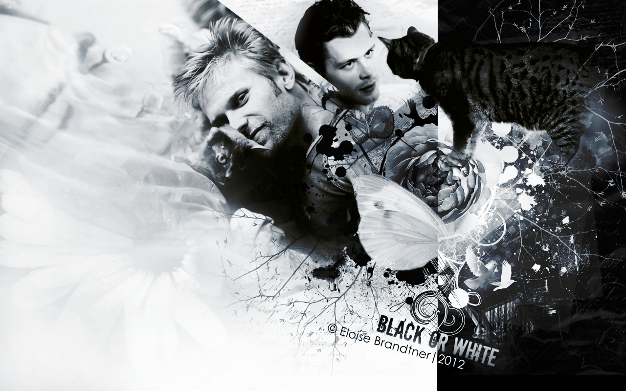 Joseph Morgan Hd Wallpapers 7wallpapersnet