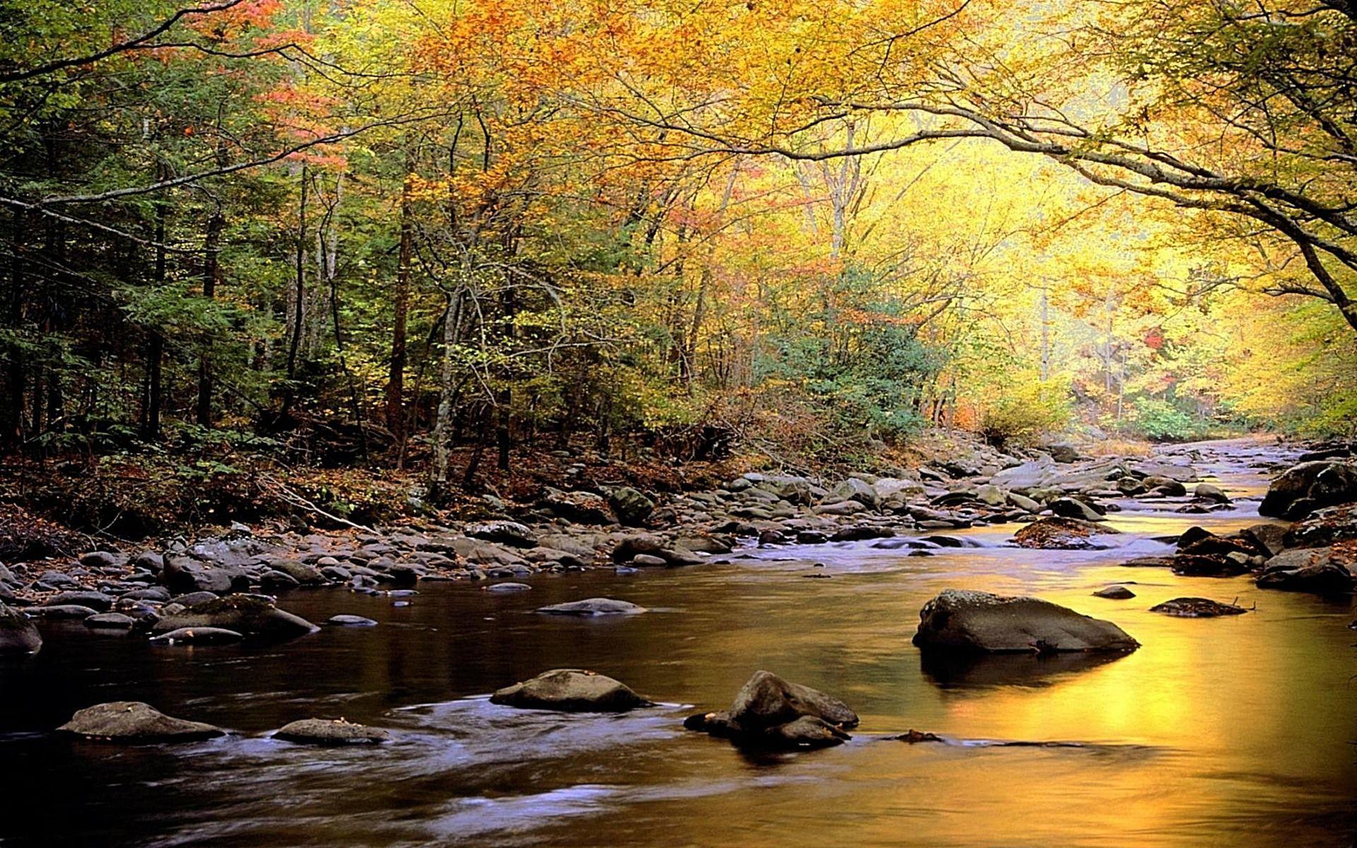 Stream Wallpapers - Wallpaper Cave