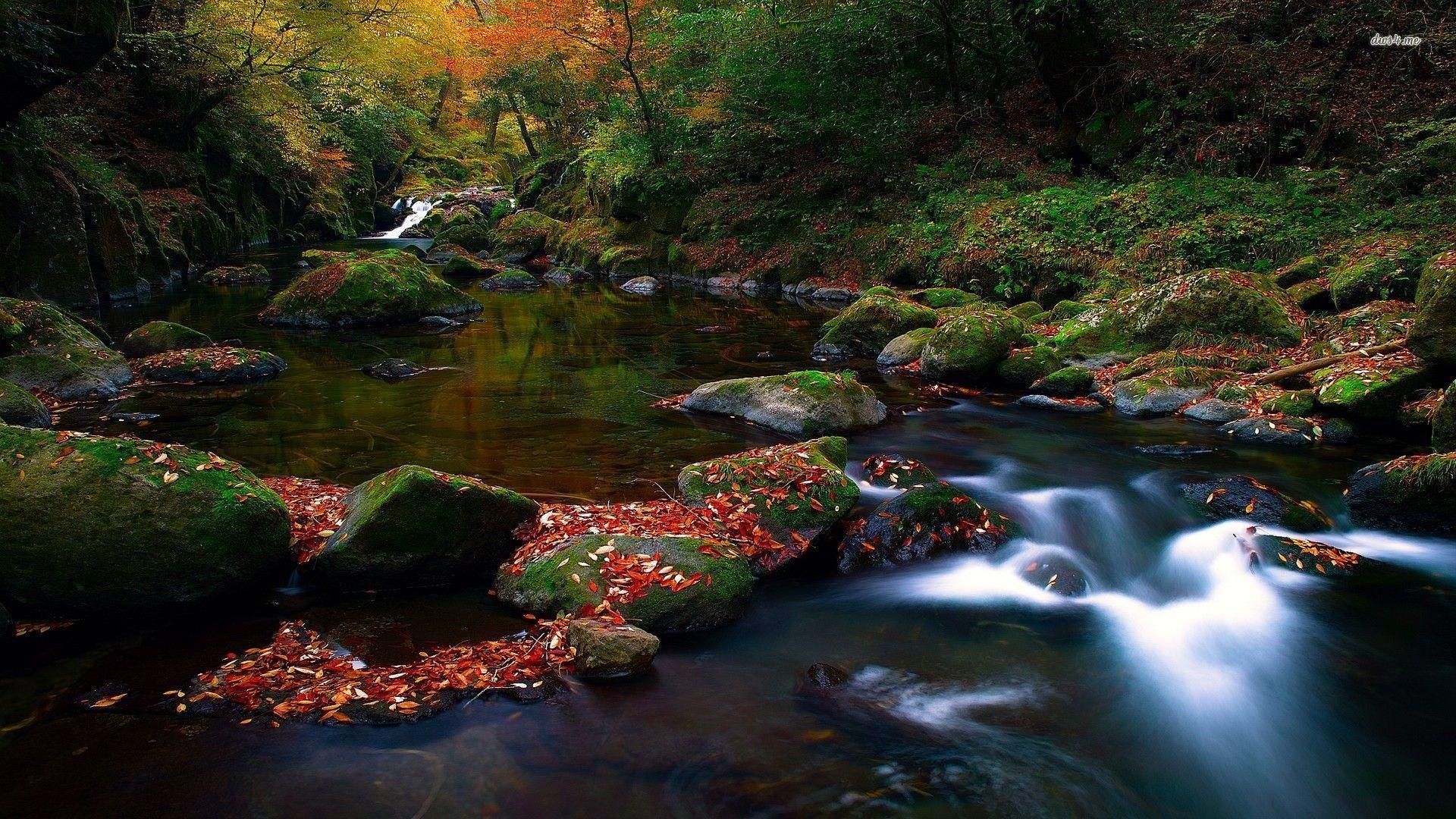 Stream Wallpapers - Wallpaper Cave