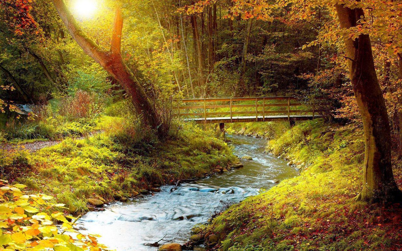 Stream Wallpapers - Wallpaper Cave