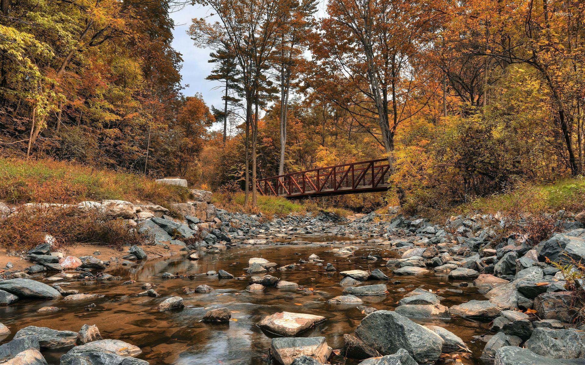 Stream Wallpapers - Wallpaper Cave