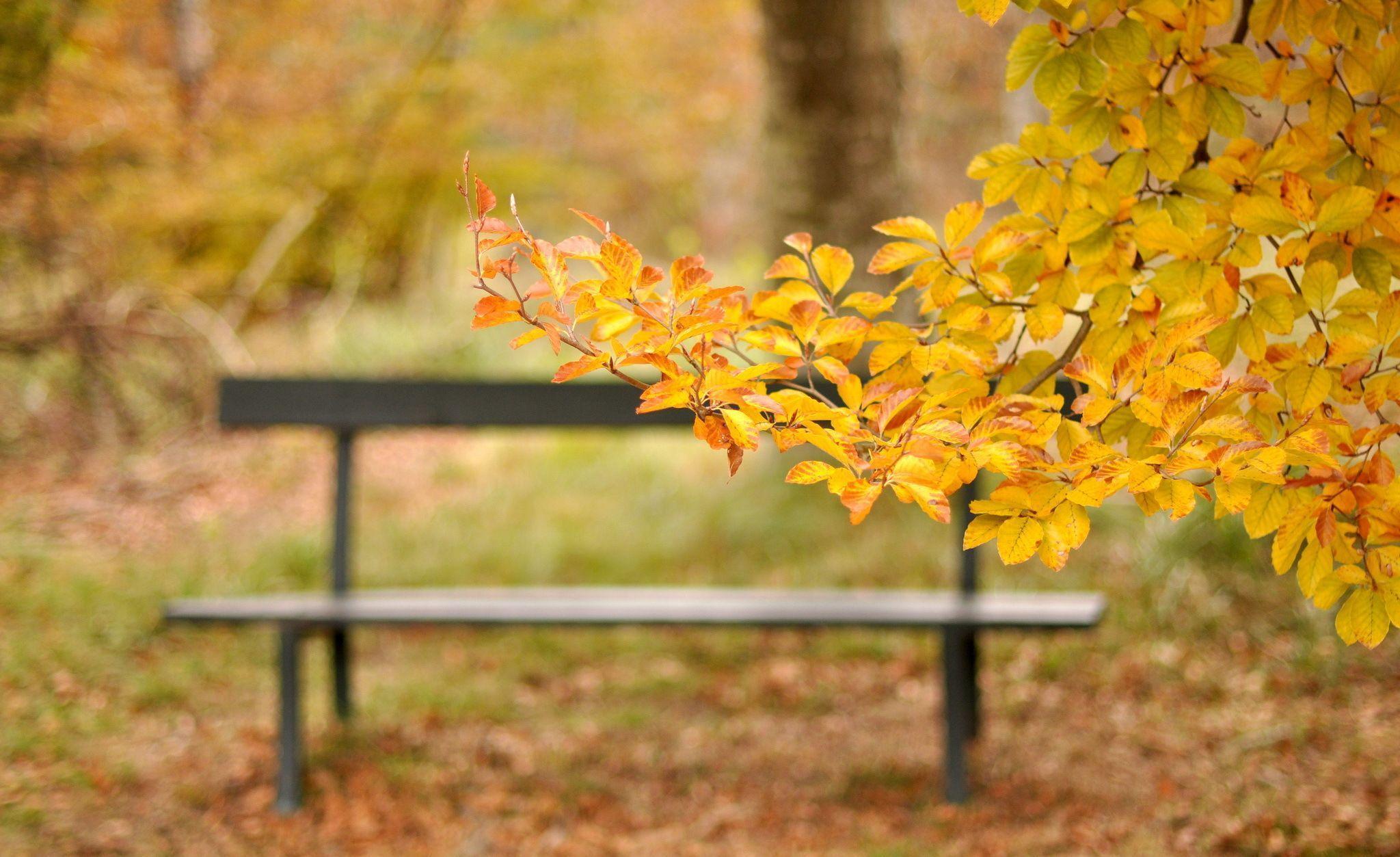 Autumn Benches Wallpapers - Wallpaper Cave