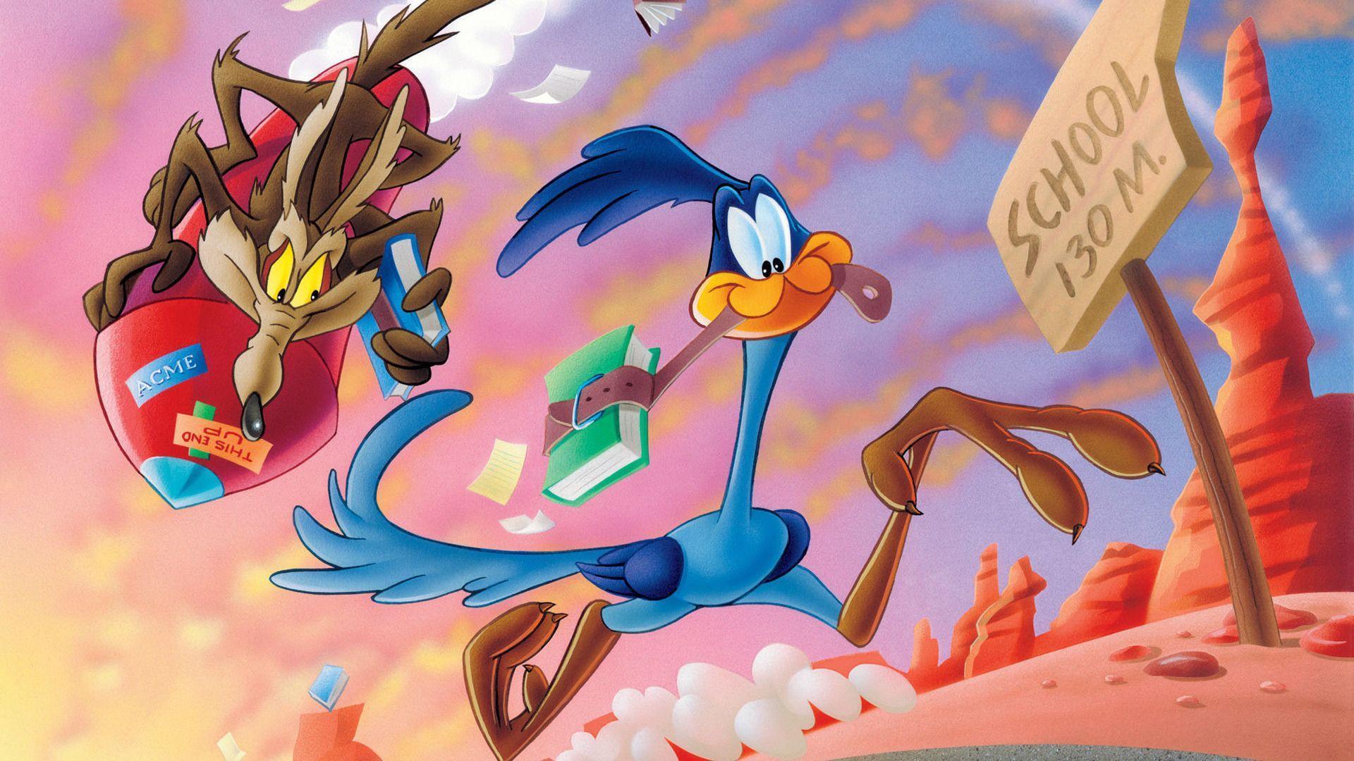 Roadrunner Wallpapers - Wallpaper Cave