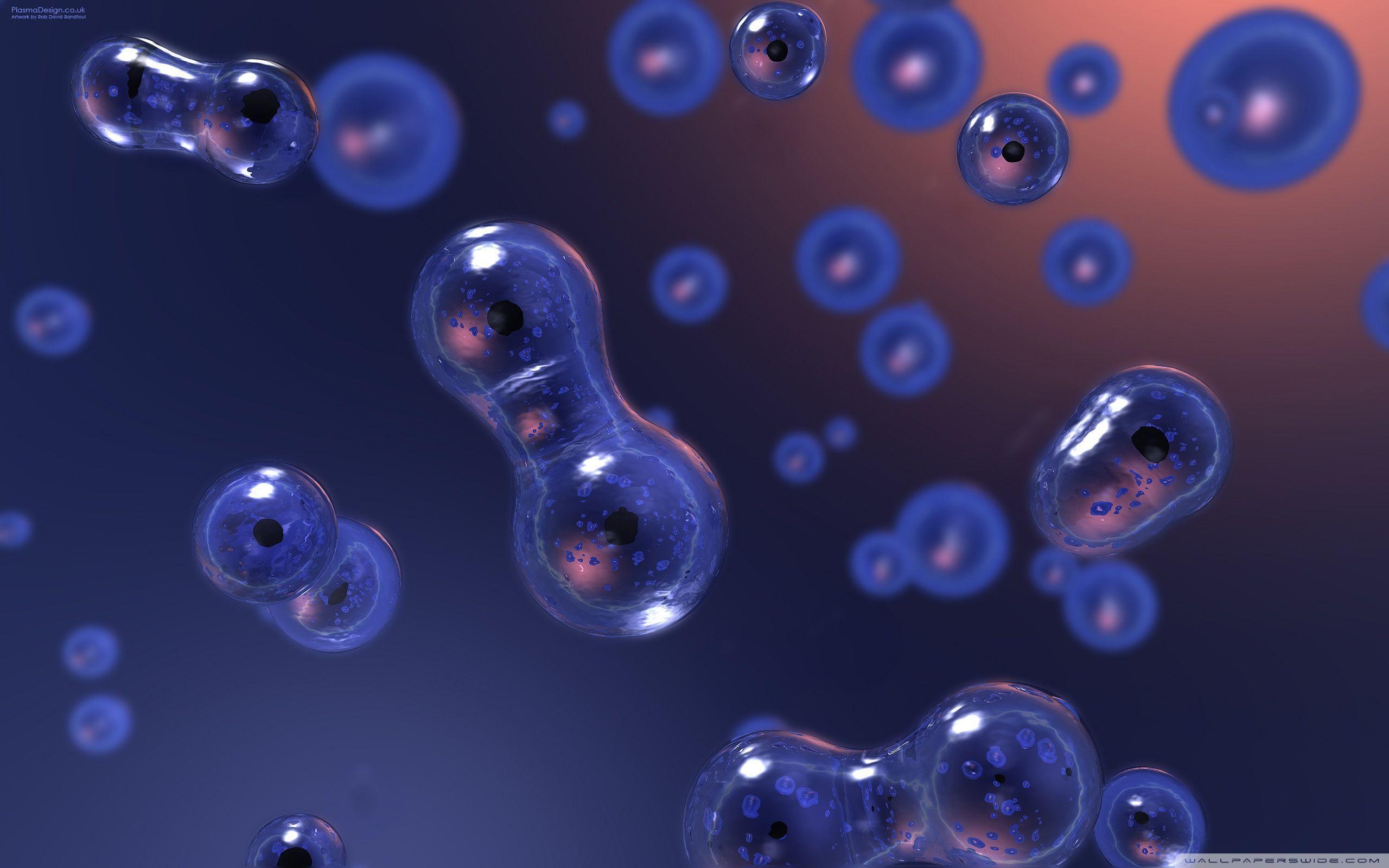Cells Wallpapers Wallpaper Cave