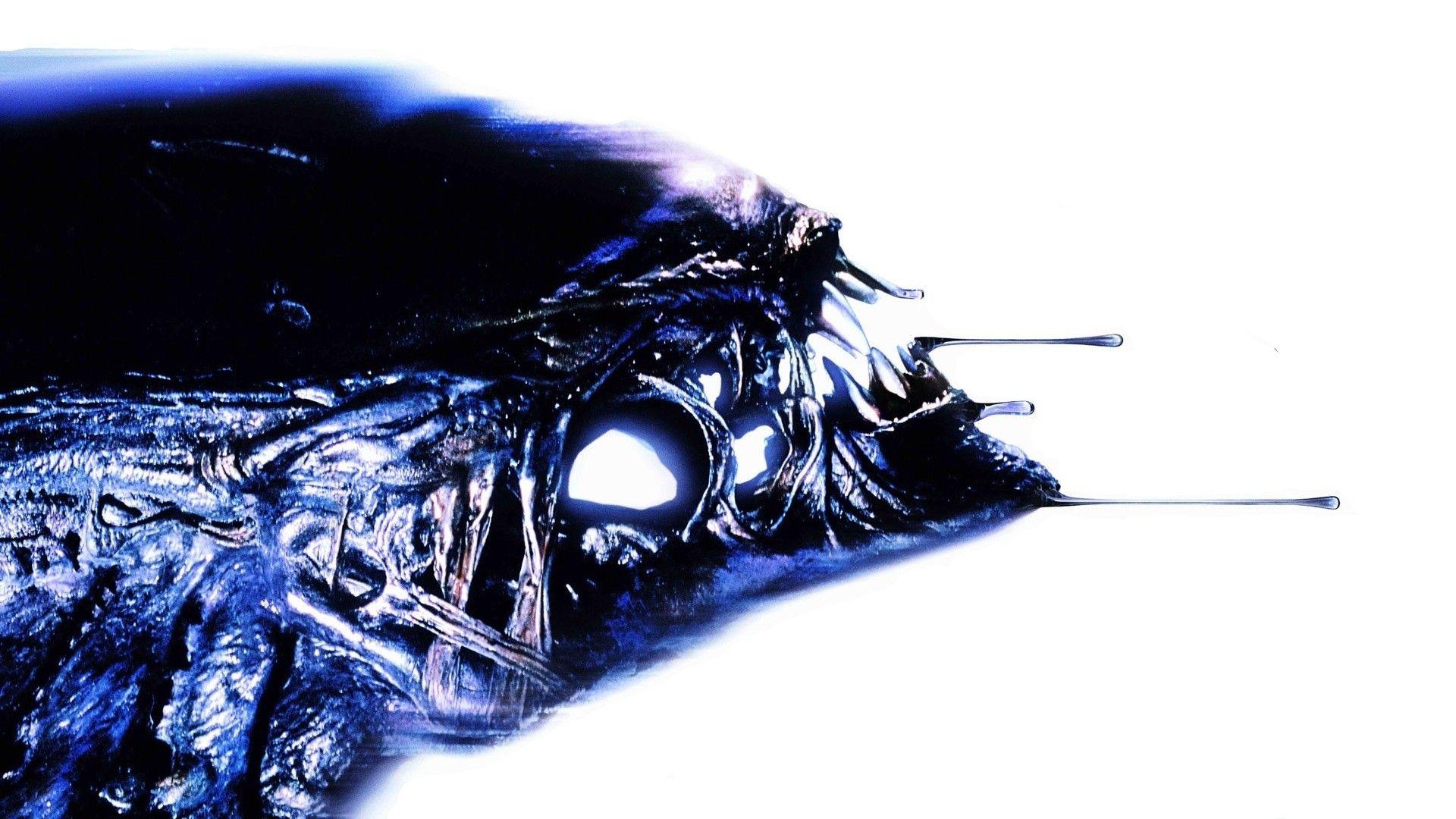 Xenomorph Wallpapers - Wallpaper Cave