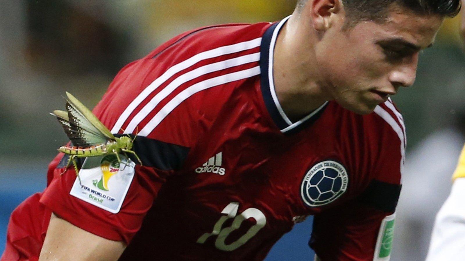 James Rodrigues Wallpapers - Wallpaper Cave