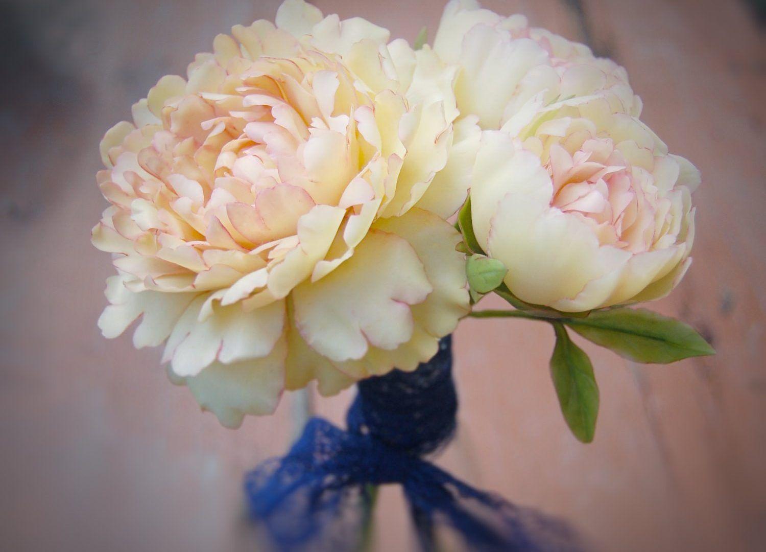 Ivory Rose Wallpapers - Wallpaper Cave