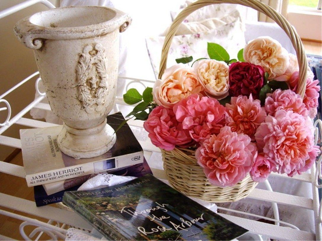 Ivory Rose Wallpapers - Wallpaper Cave