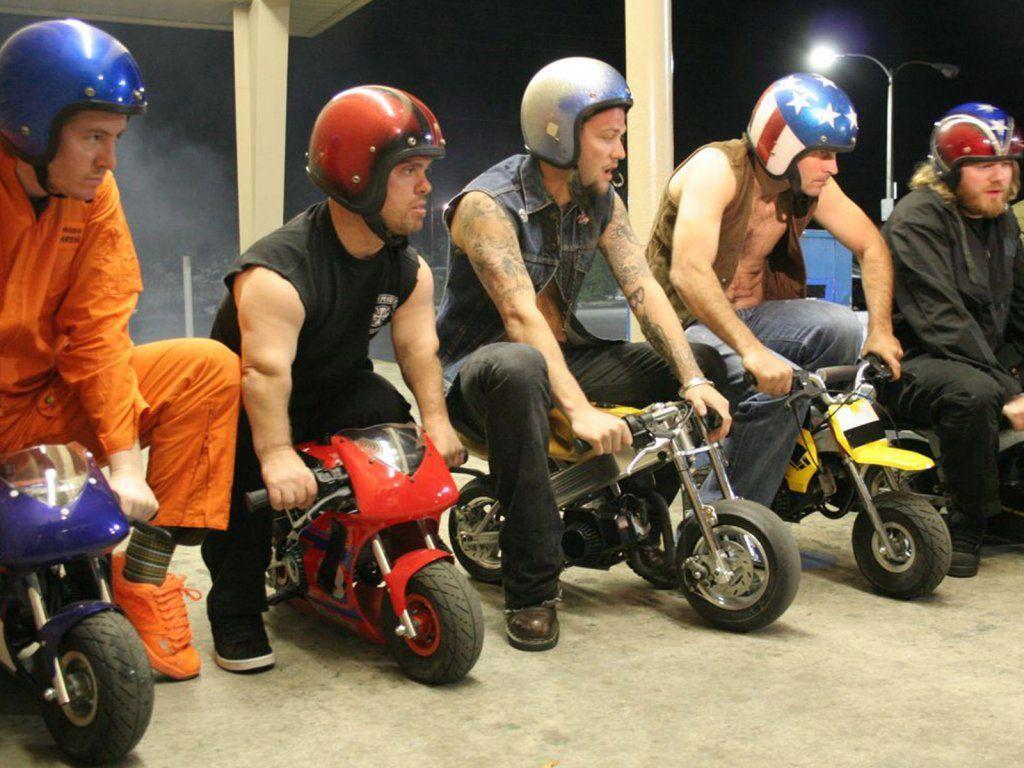 Jackass Wallpapers - Wallpaper Cave