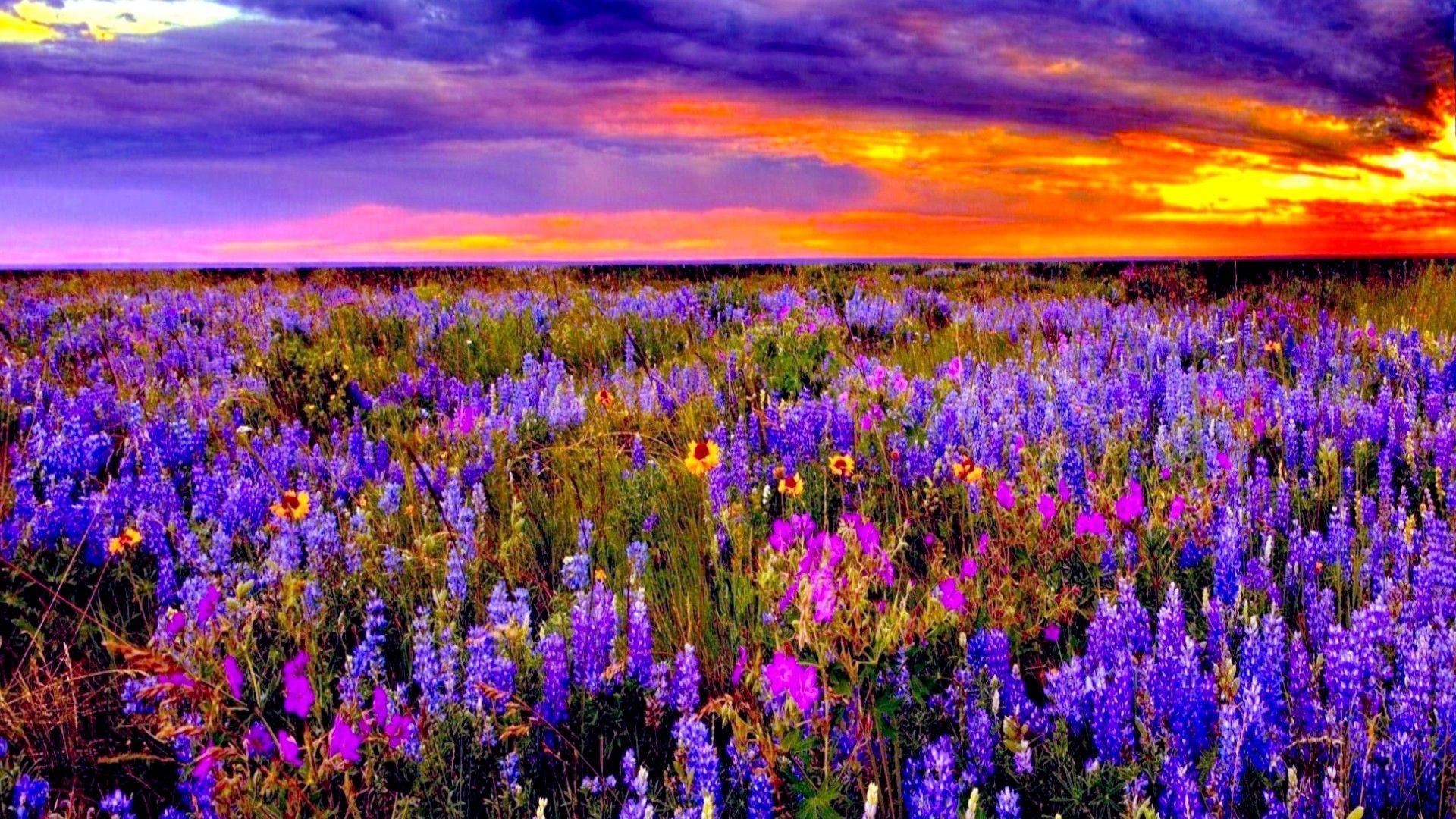 Glory Wallpapers - Wallpaper Cave