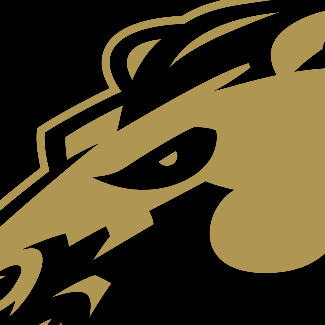 Western Michigan Broncos Wallpapers - Wallpaper Cave