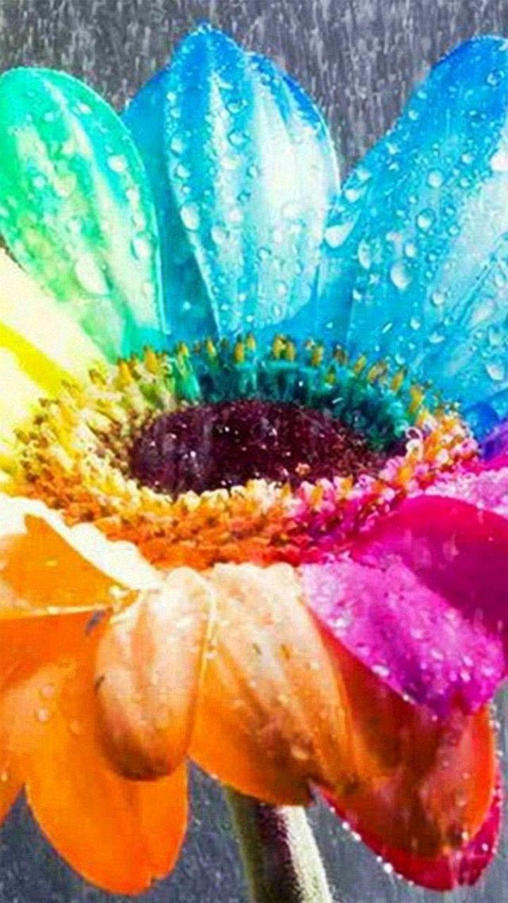 Galaxy A5 Wallpapers - Wallpaper Cave