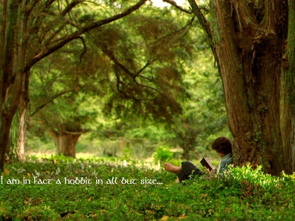The Shire Wallpapers - Wallpaper Cave
