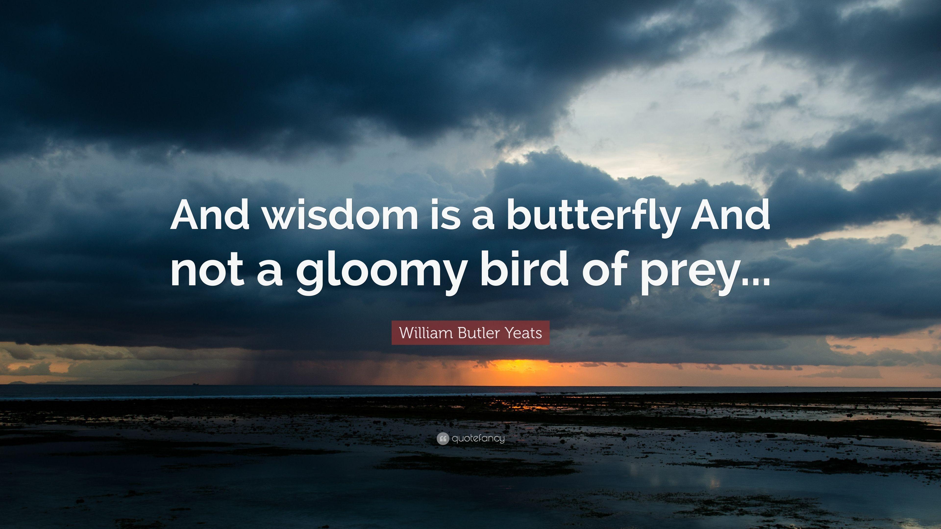Wisdom Wallpapers - Wallpaper Cave