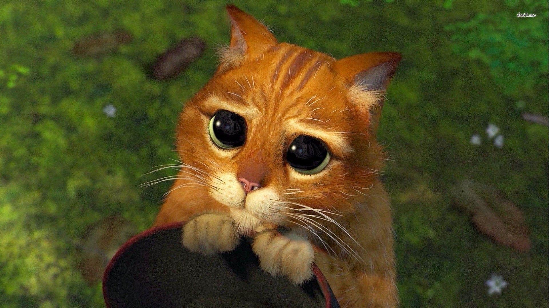 Puss In Boots Meme Template