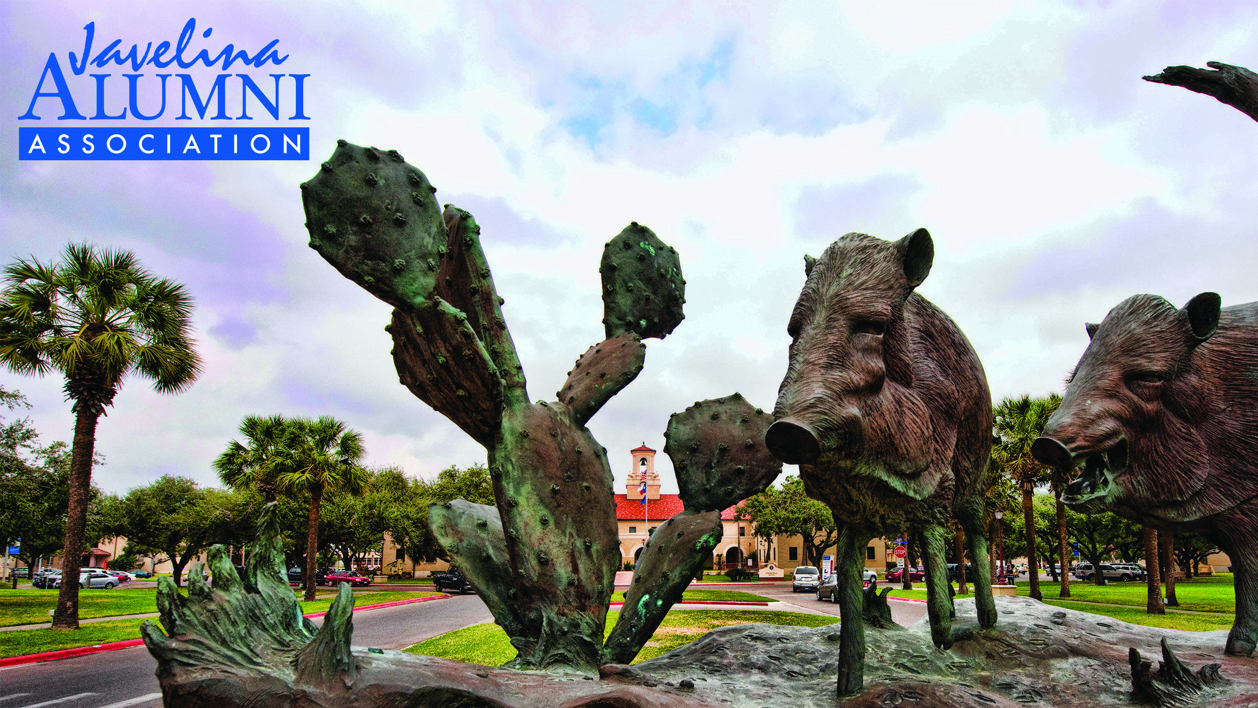 Texas A&M University Wallpapers - Wallpaper Cave