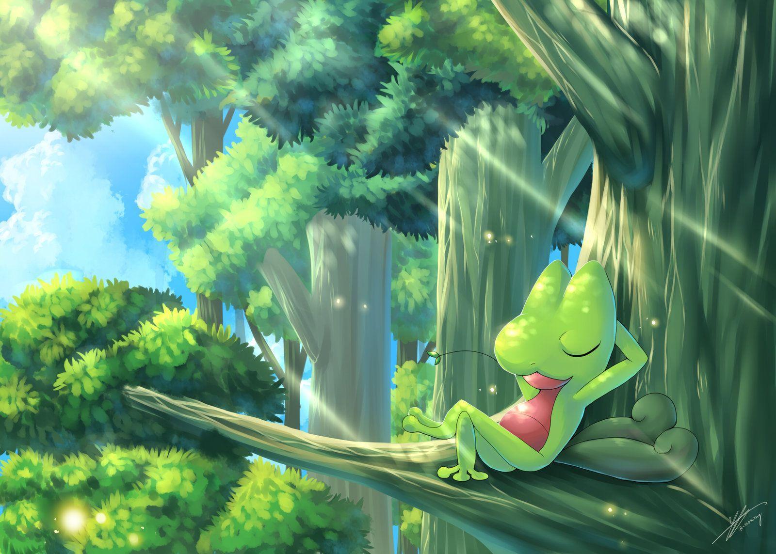 Treecko Wallpapers - Wallpaper Cave