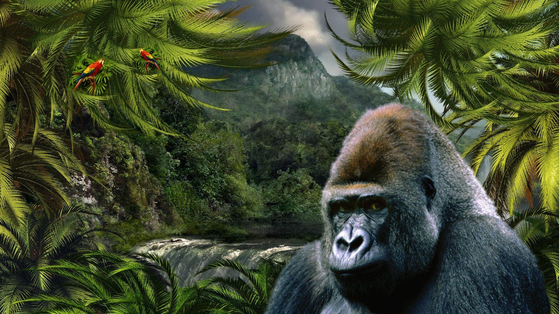 Gorillas Wallpapers - Wallpaper Cave