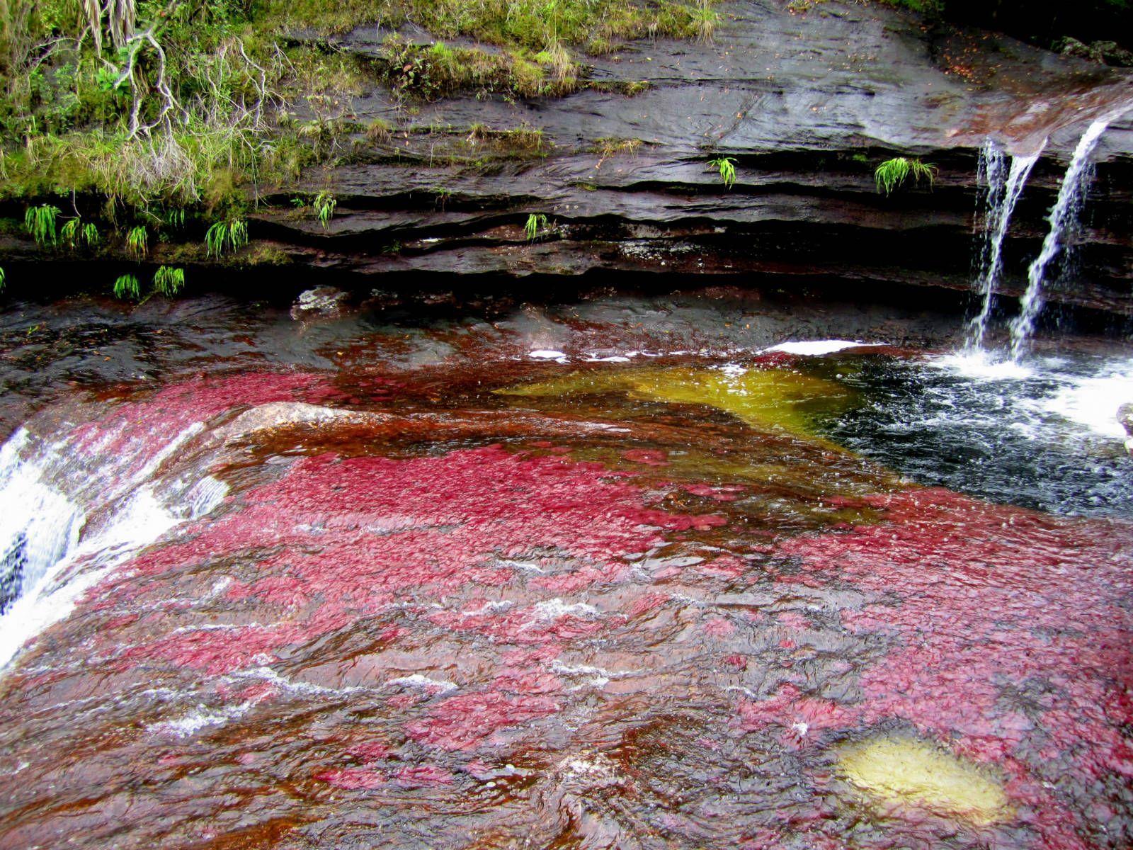 Liquid Rainbow River Of Columbia HD Wallpapers - Wallpaper Cave