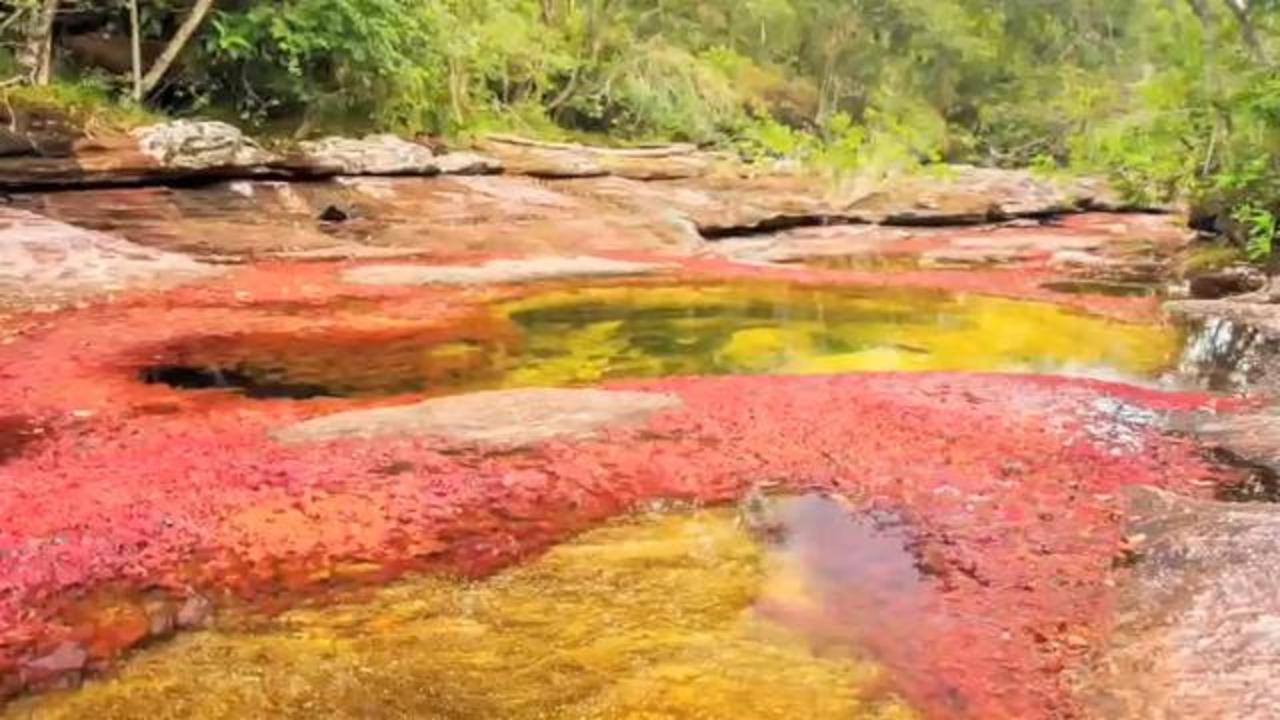 Liquid Rainbow River Of Columbia HD Wallpapers - Wallpaper Cave
