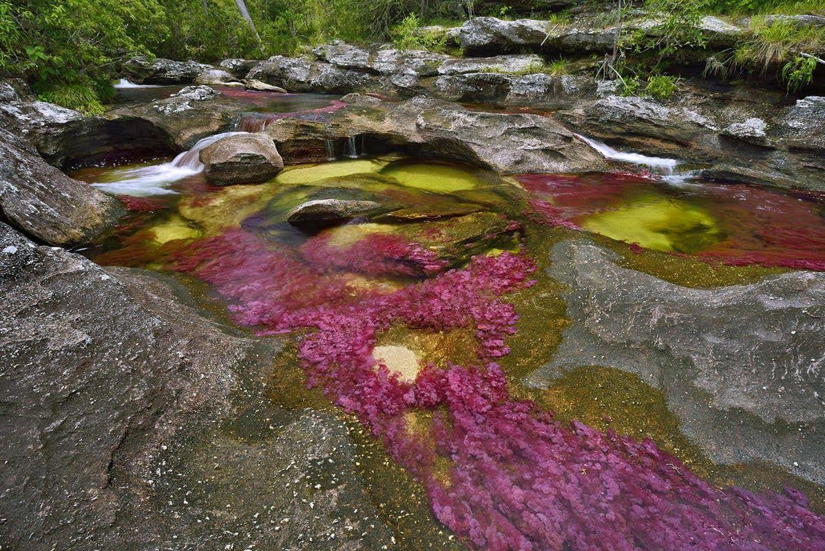 Liquid Rainbow River Of Columbia HD Wallpapers - Wallpaper Cave