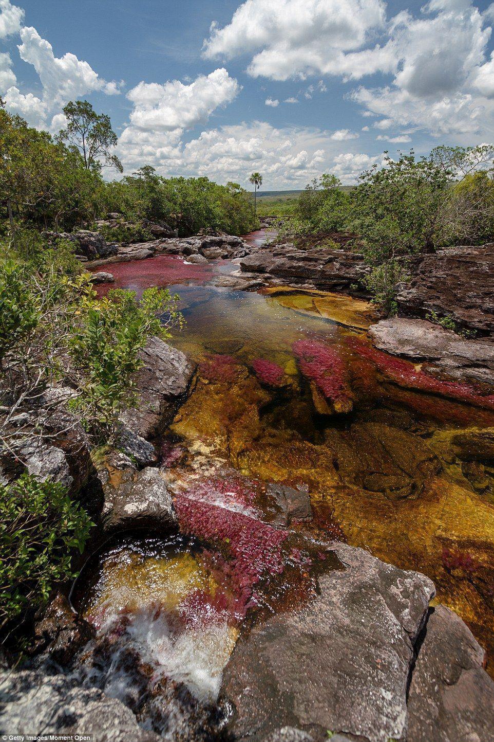 Liquid Rainbow River Of Columbia HD Wallpapers - Wallpaper Cave